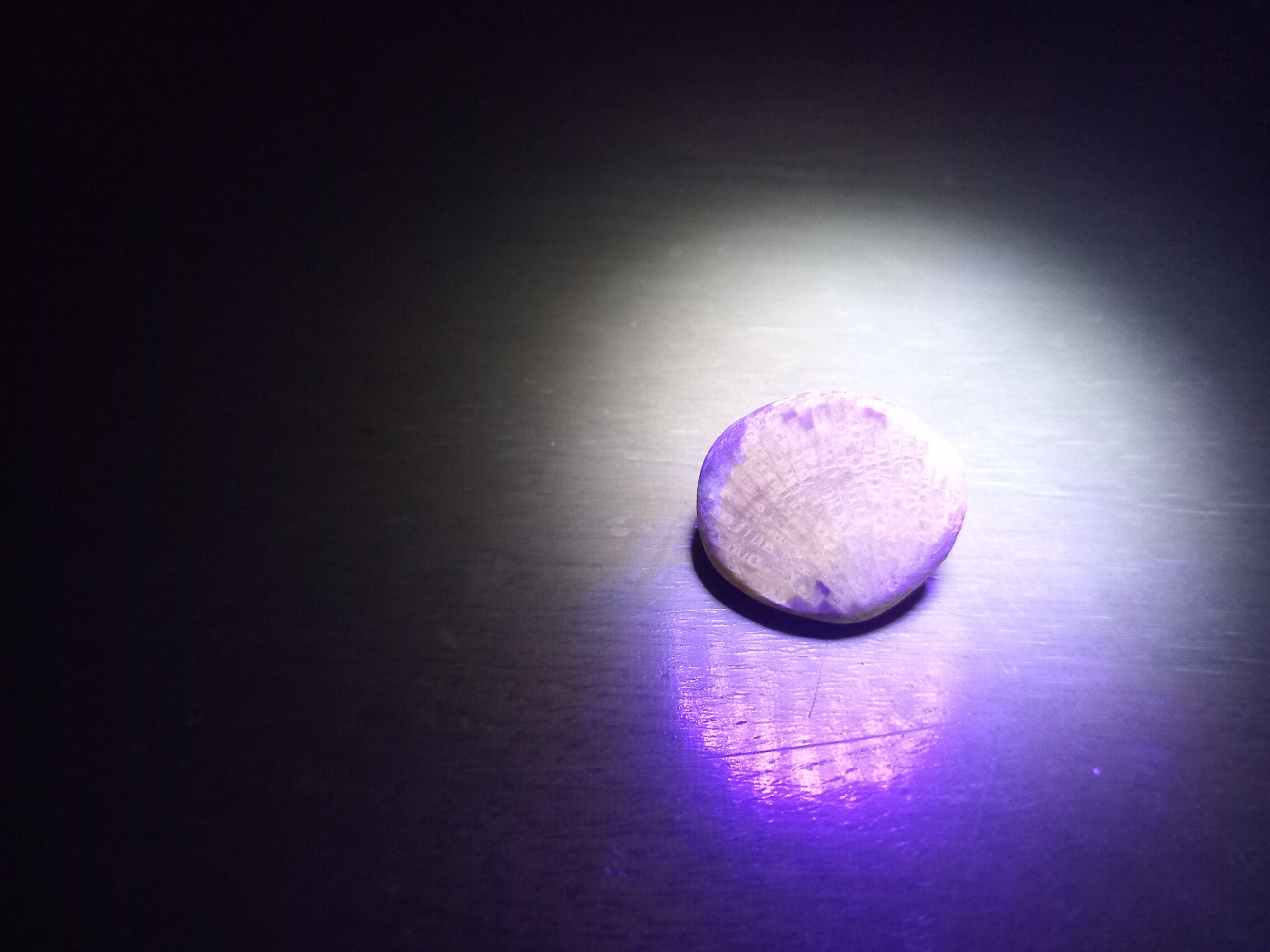 Rock/fossil that fluoresce under uv light - Fossil ID - The Fossil Forum
