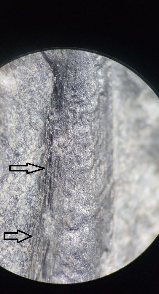Just a nice santonian fish tooth I found in Japan - Fossil ID - The ...