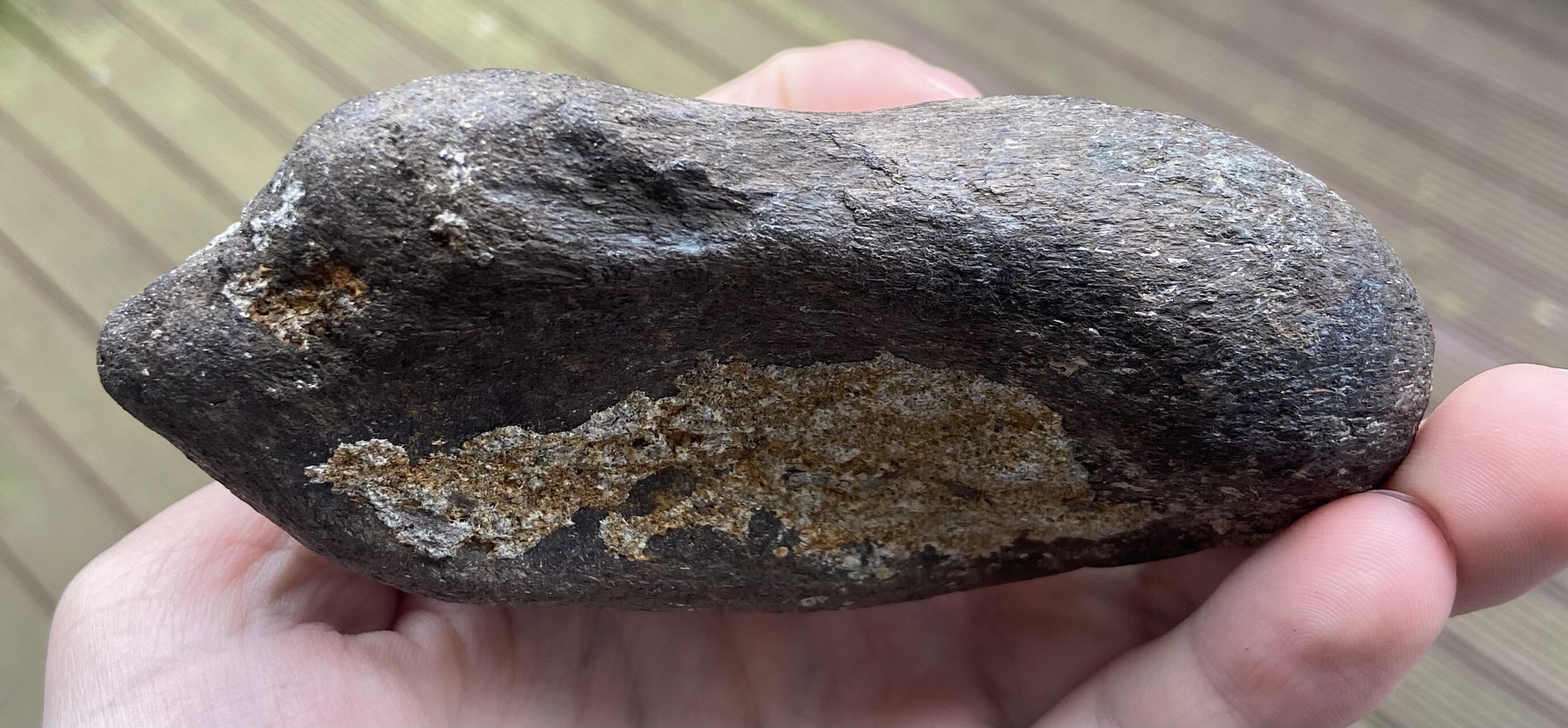 Bone from the Jurassic of the Boulonnais, France - Fossil ID - The ...