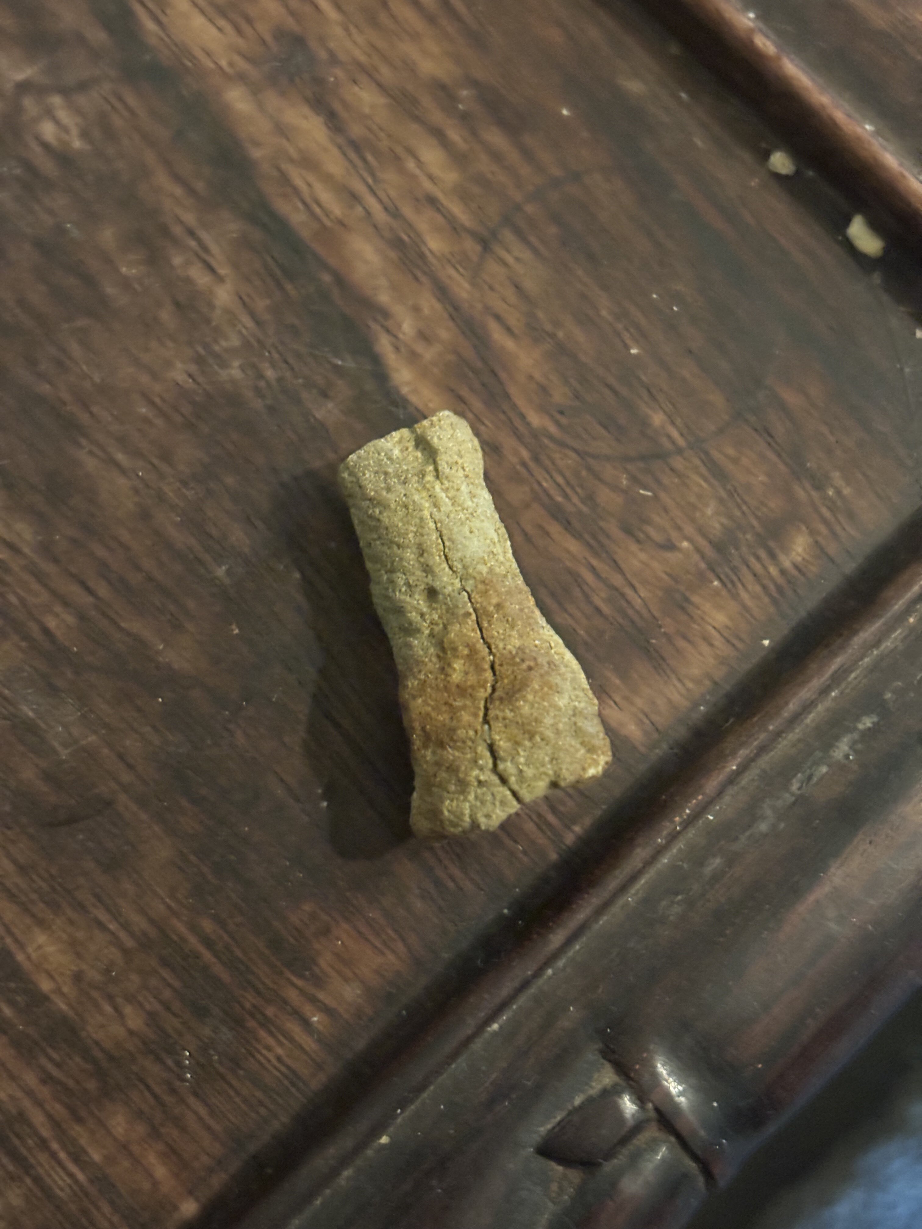 Is this a fossilised bone? - Fossil ID - The Fossil Forum