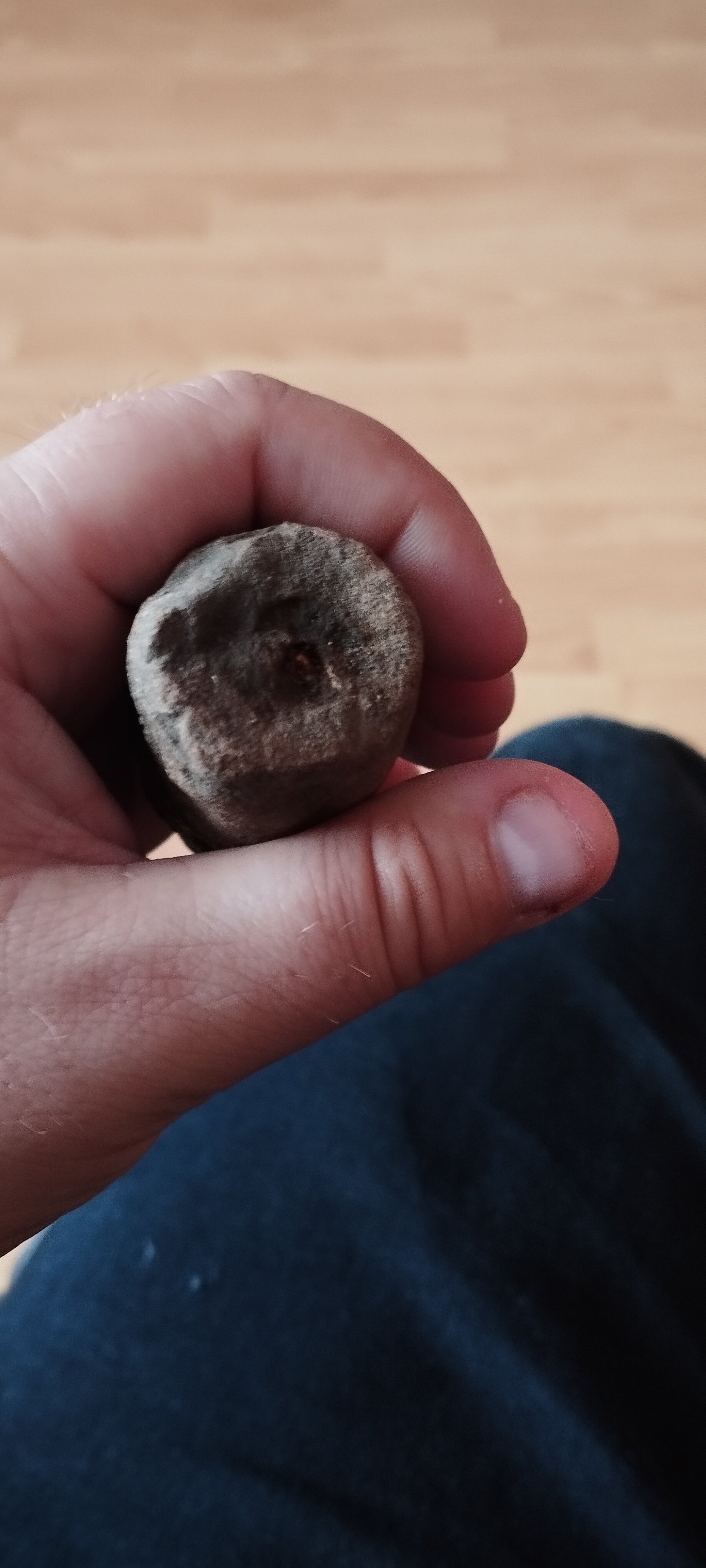 Ichnofossil or stone? - Fossil ID - The Fossil Forum