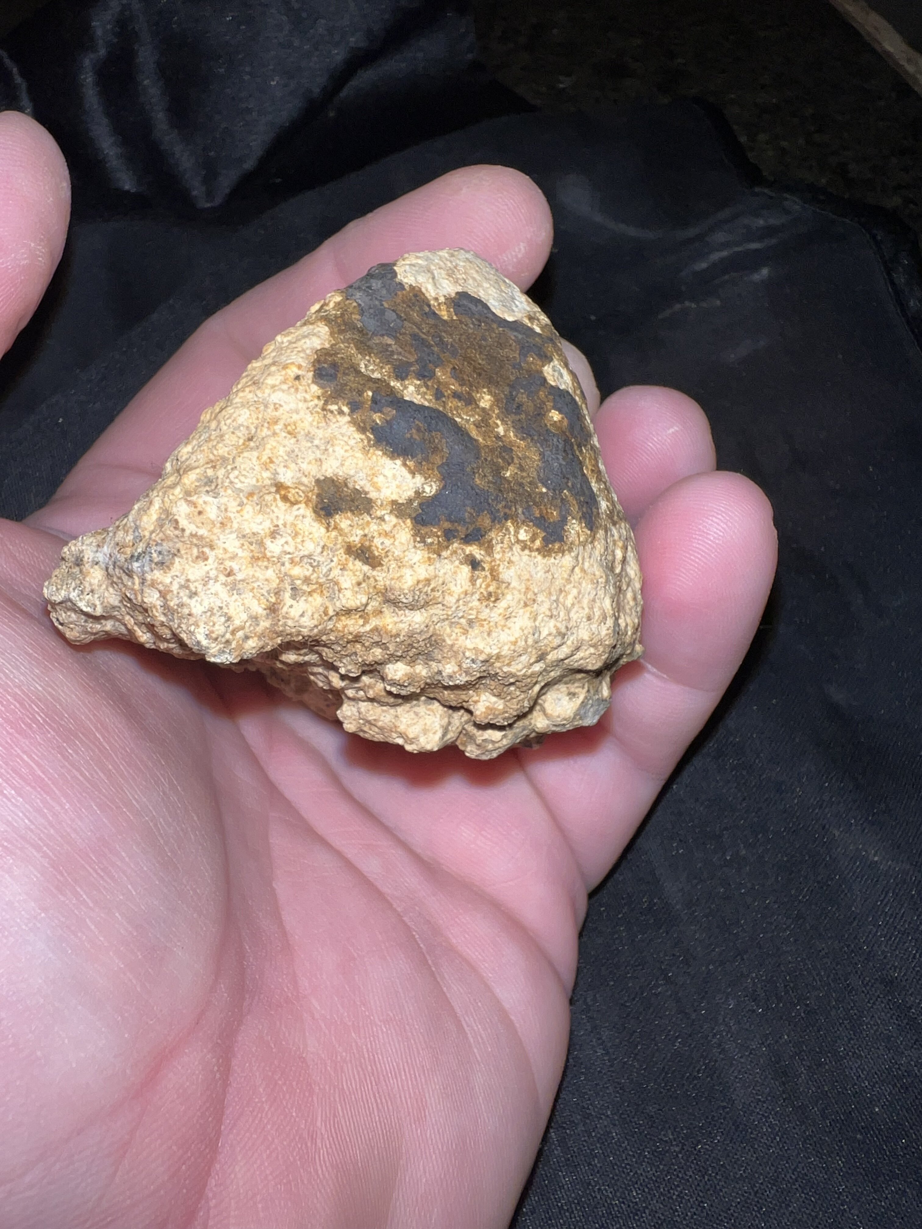 Small mammoth tooth maybe? Other ideas? Central Texas - Fossil ID - The ...