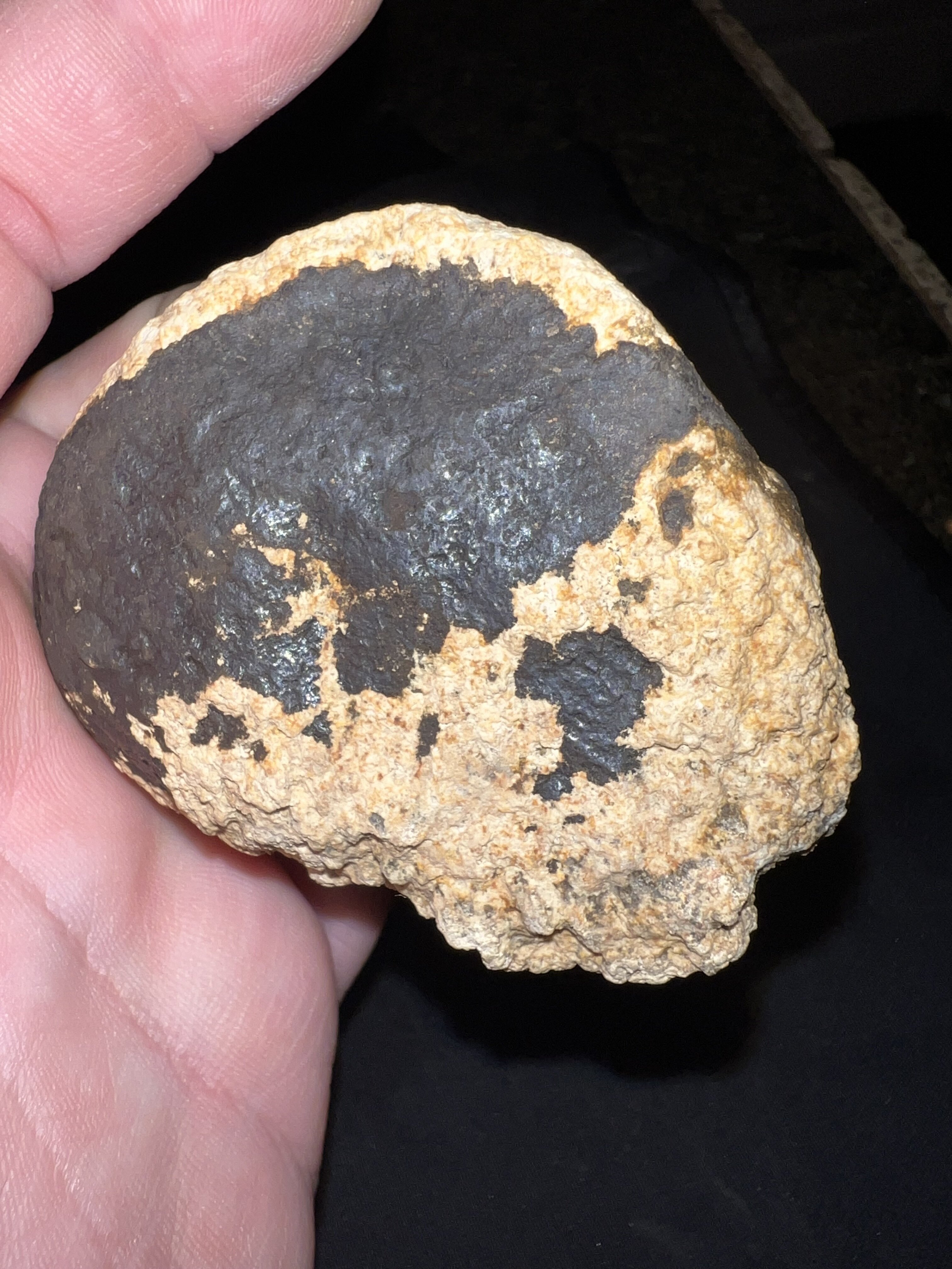 Small mammoth tooth maybe? Other ideas? Central Texas - Fossil ID - The ...
