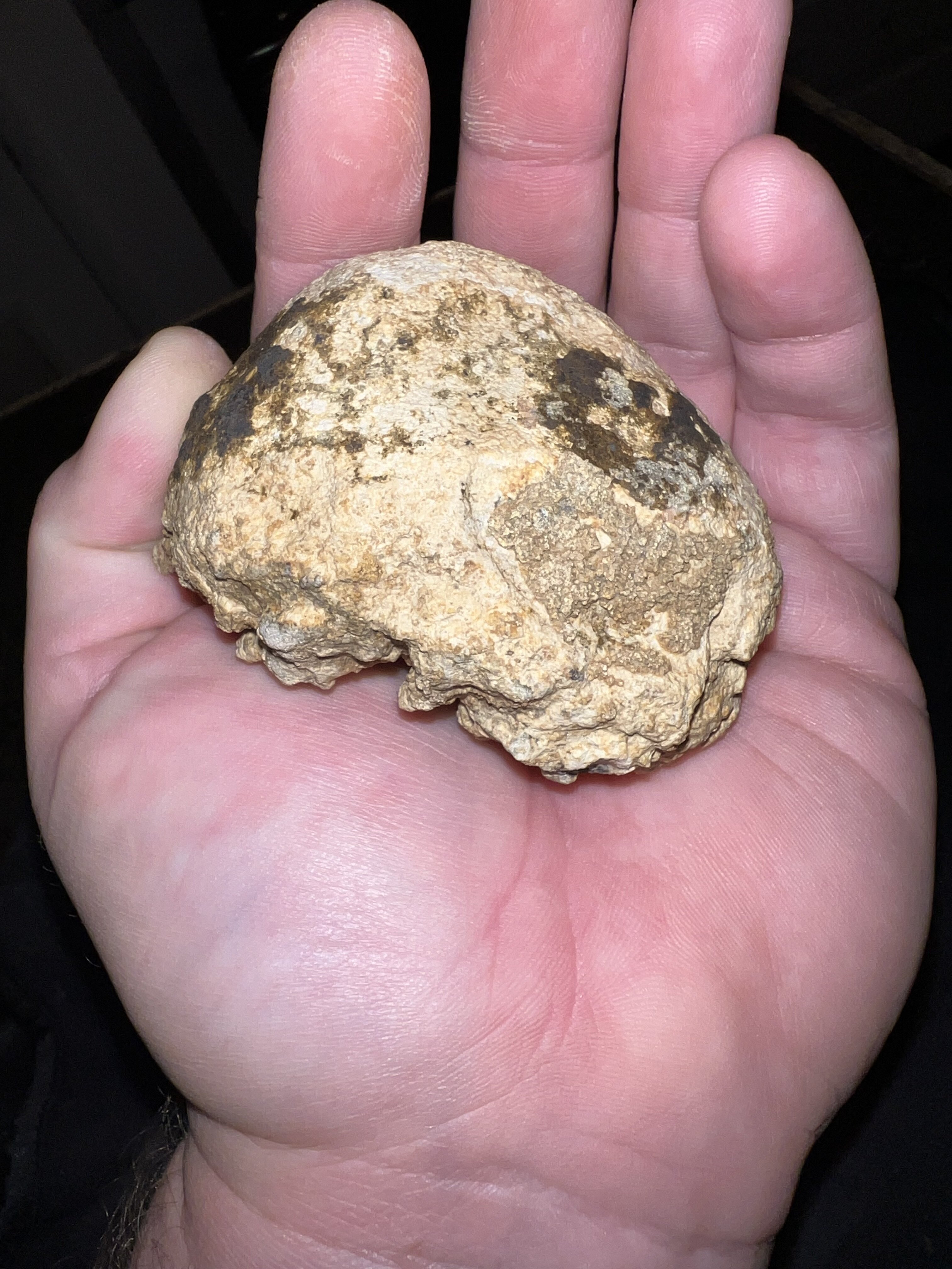 Small mammoth tooth maybe? Other ideas? Central Texas - Fossil ID - The ...