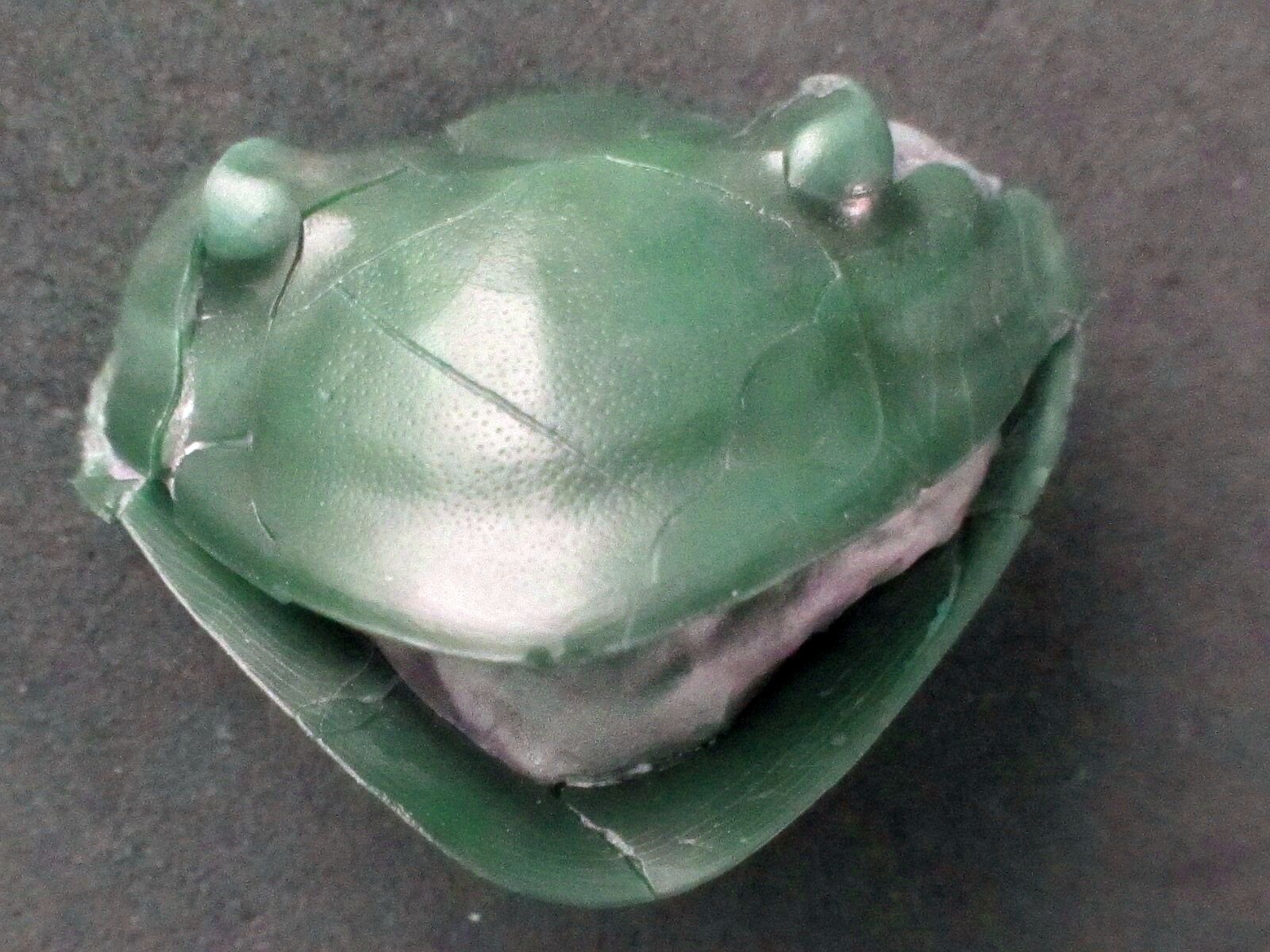 Kermit Immortalized - Fossil News - The Fossil Forum