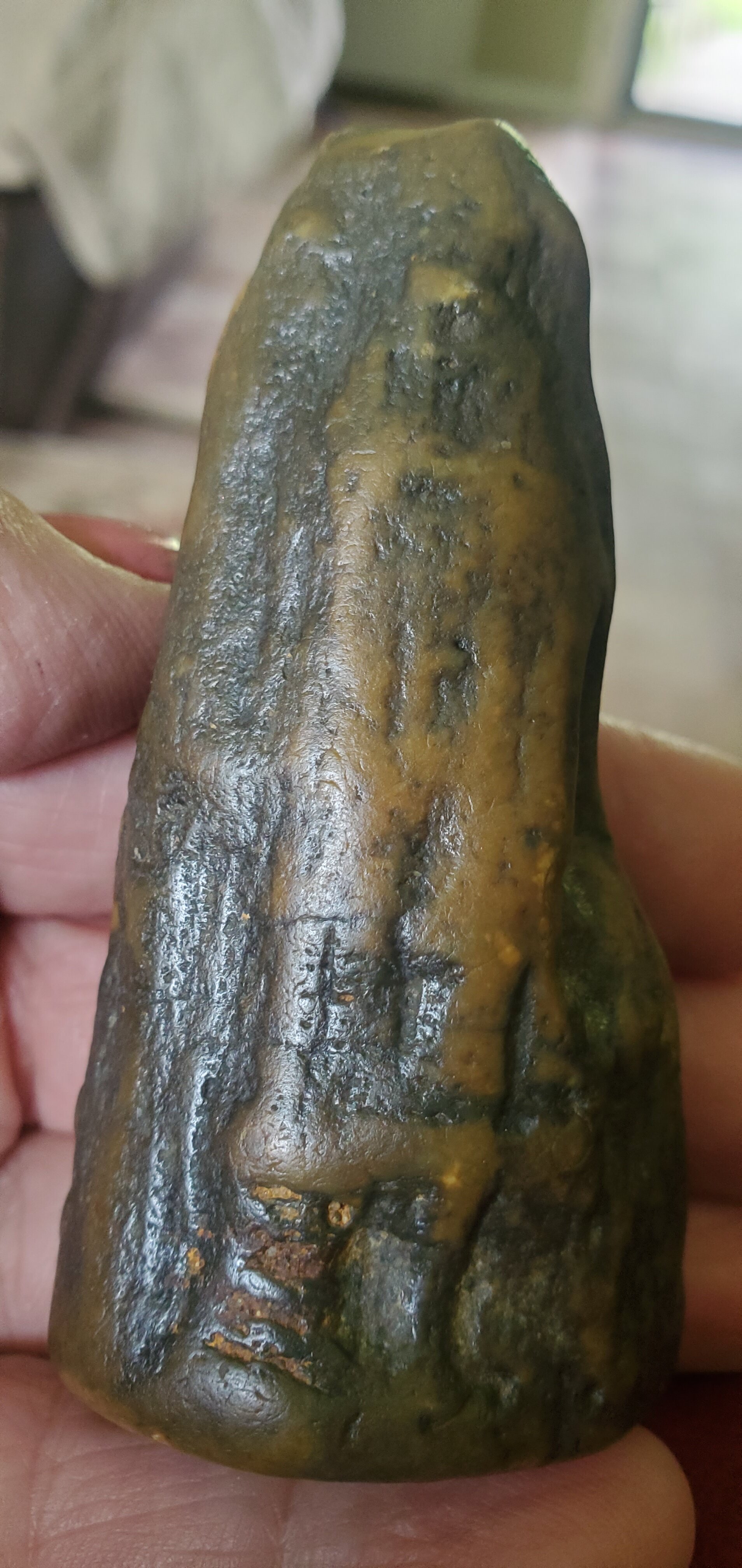 Found this very interesting amongst a landscape garden. - Fossil ID ...