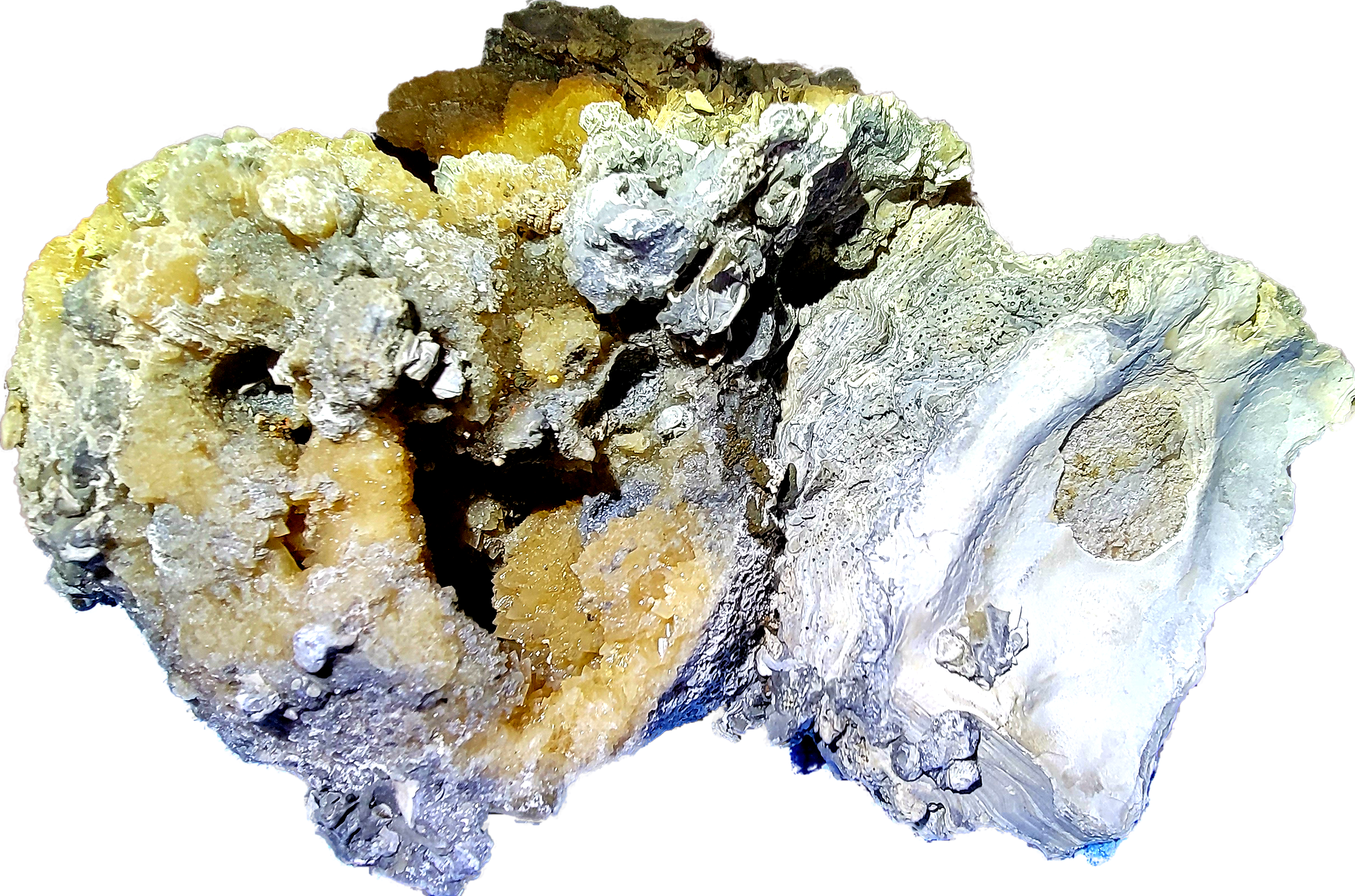 Pile of Gold! Fossil shells & more that is! One shiny piece started my ...