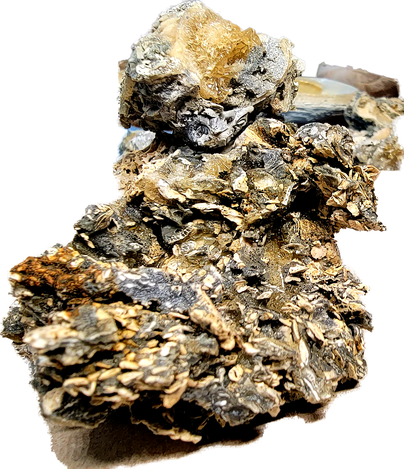 Pile of Gold! Fossil shells & more that is! One shiny piece started my ...