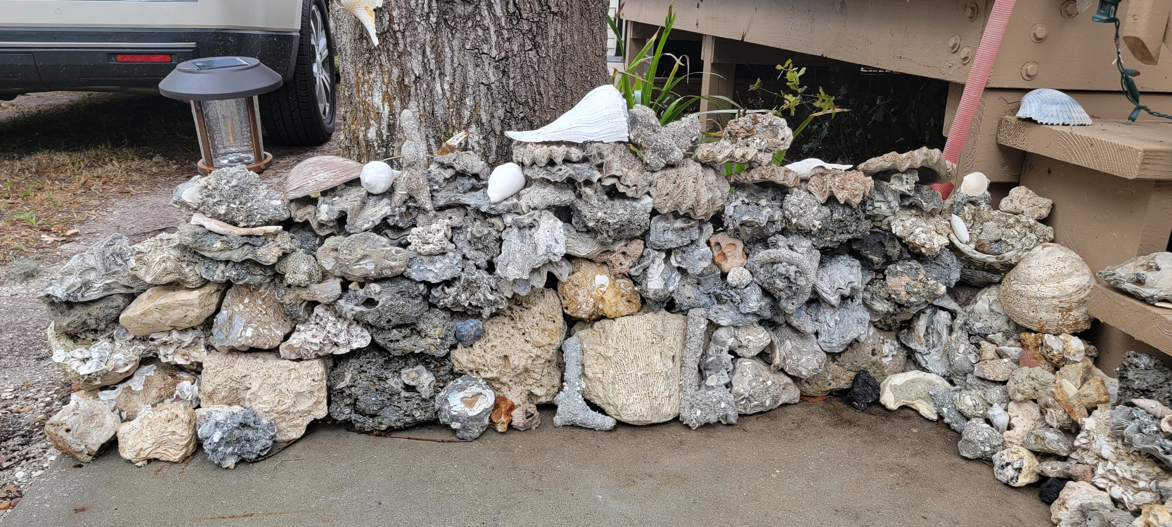 Pile of Gold! Fossil shells & more that is! One shiny piece started my ...