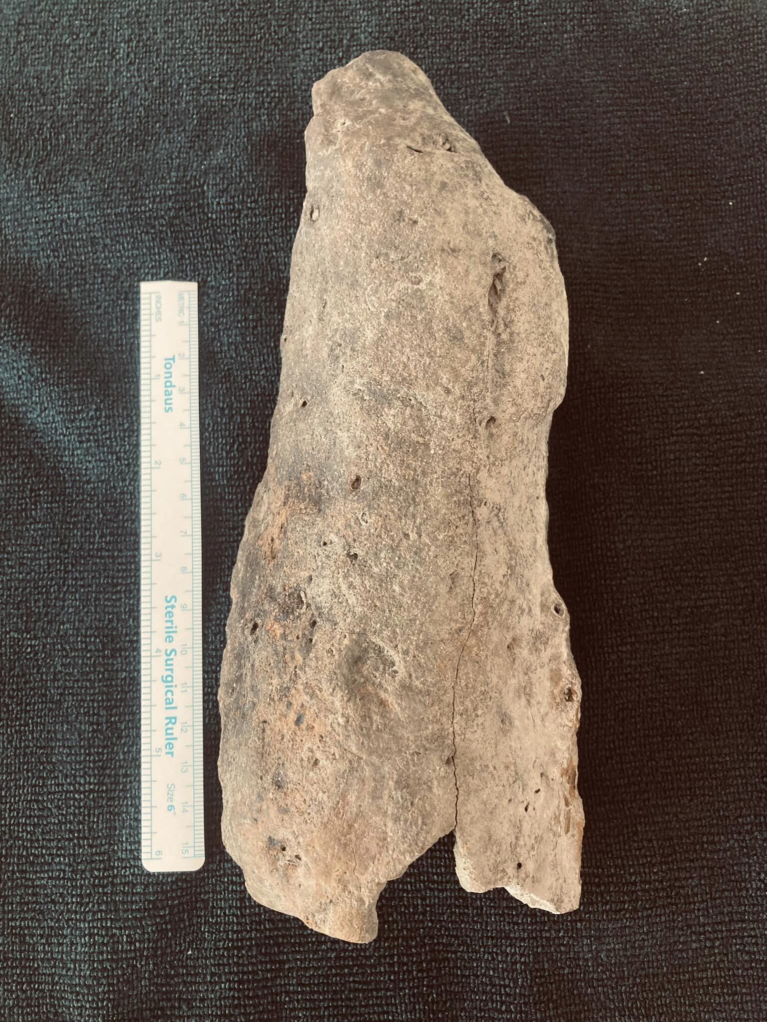 Missouri Pleistocene and maybe modern bones - Fossil ID - The Fossil Forum