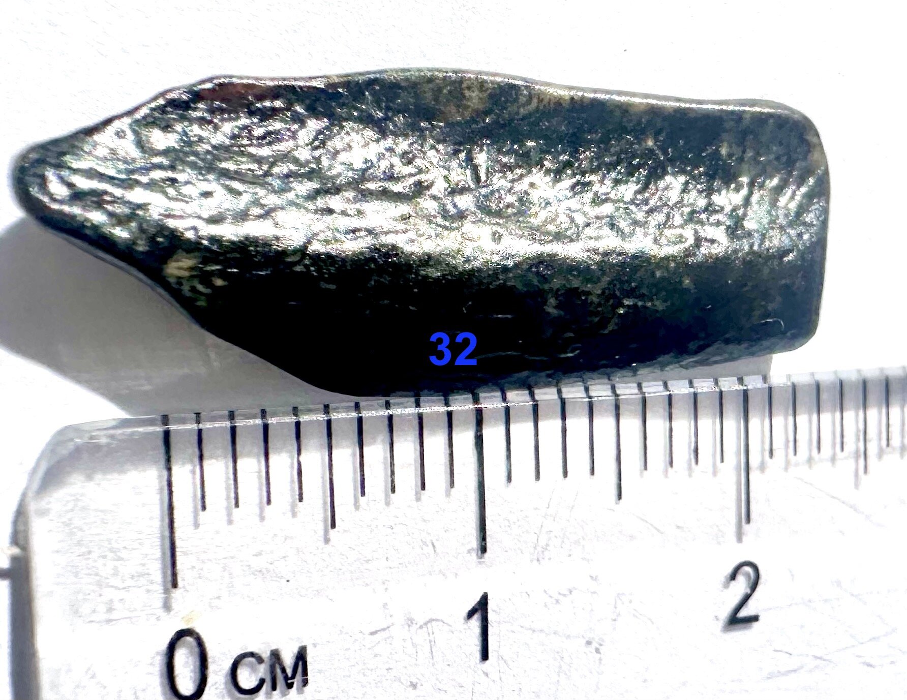 Fossil identification help please! Peace River Formation Venice, FL ...