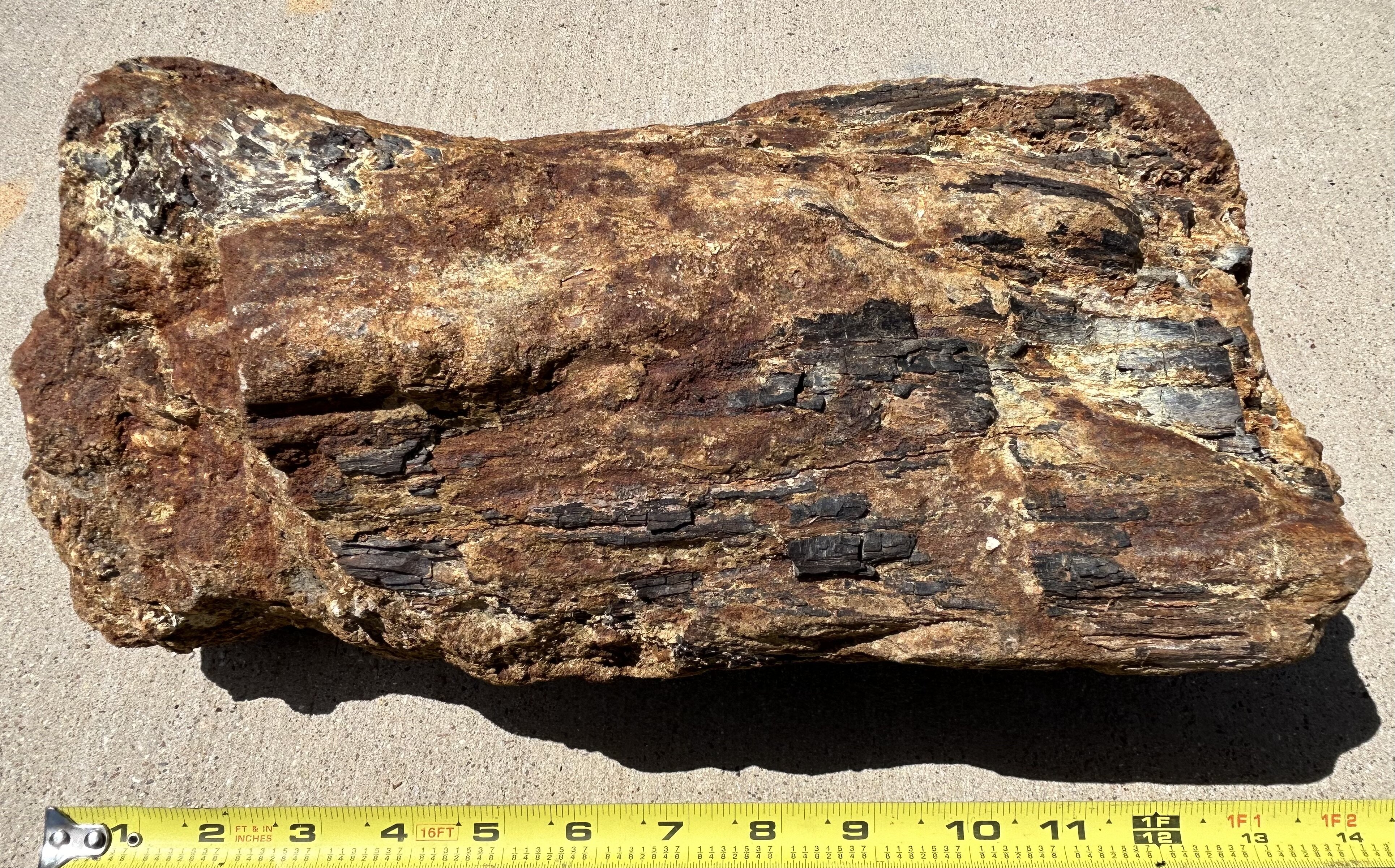 A brief North TX tour:Eagle Ford group, Paw Paw, Goodland formations ...