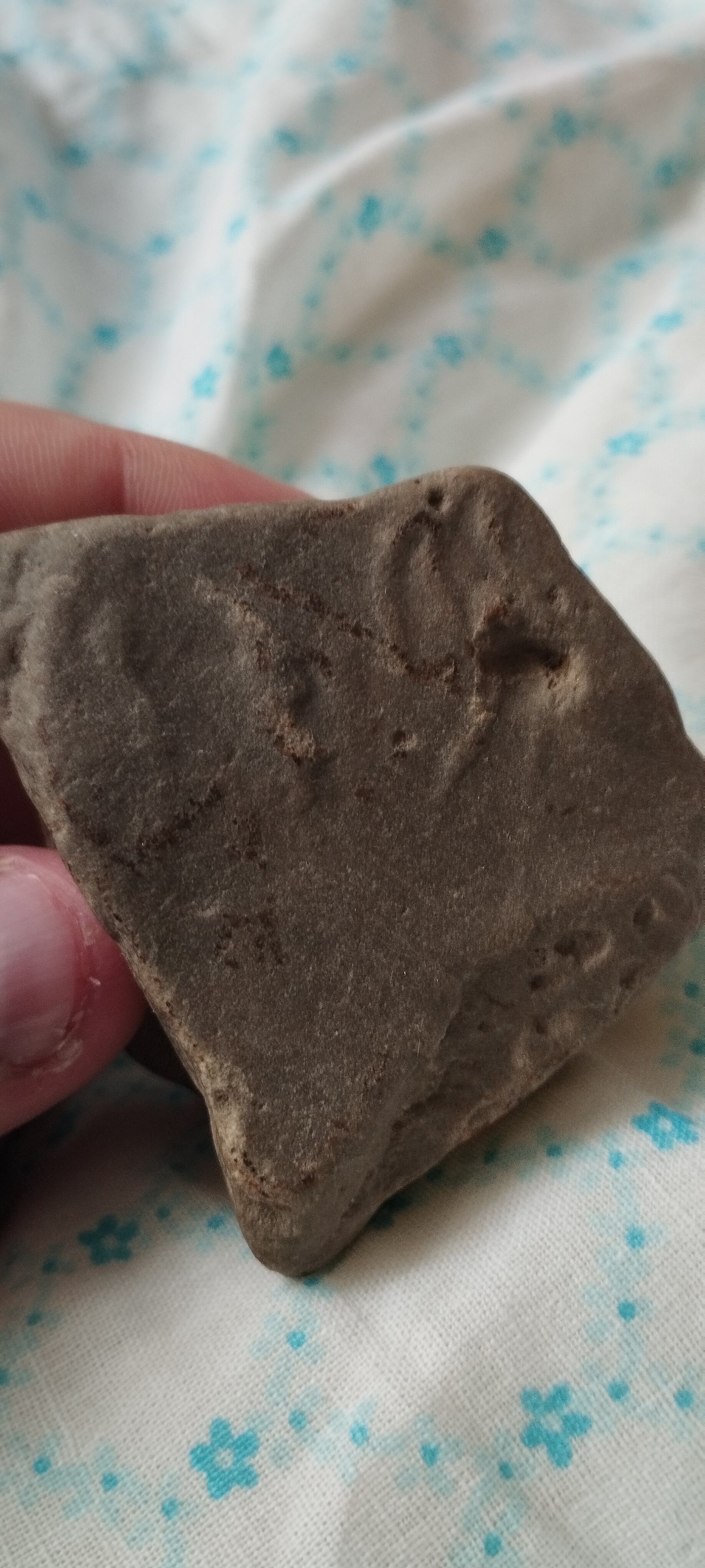 Ripplemarki or footprint? - Fossil ID - The Fossil Forum