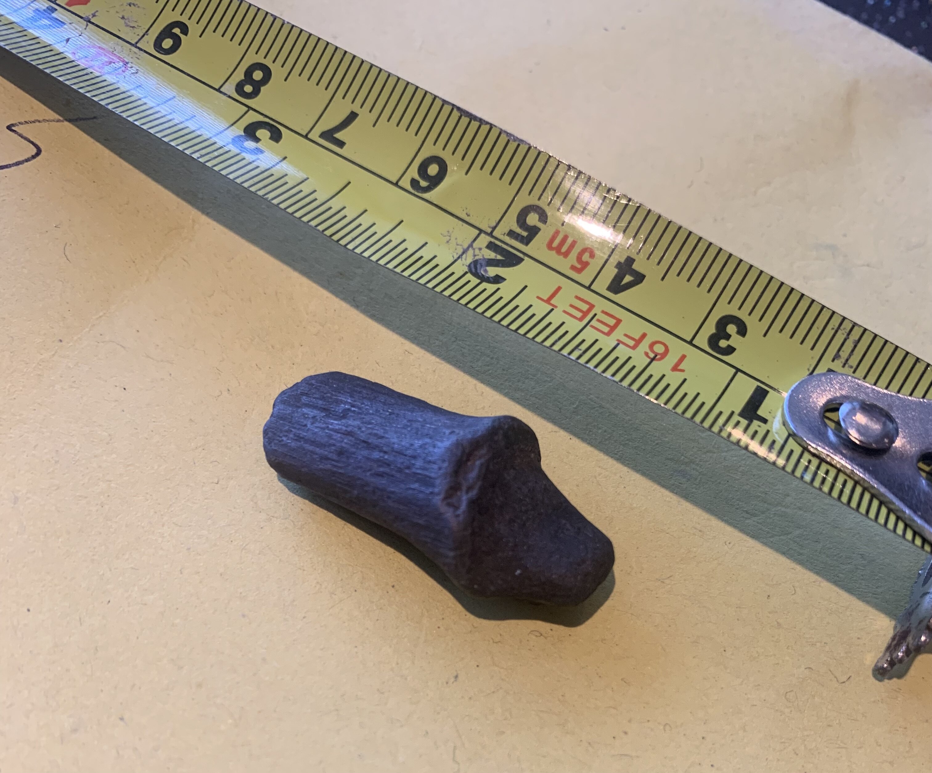 Fossilised bone - Fossil ID - The Fossil Forum