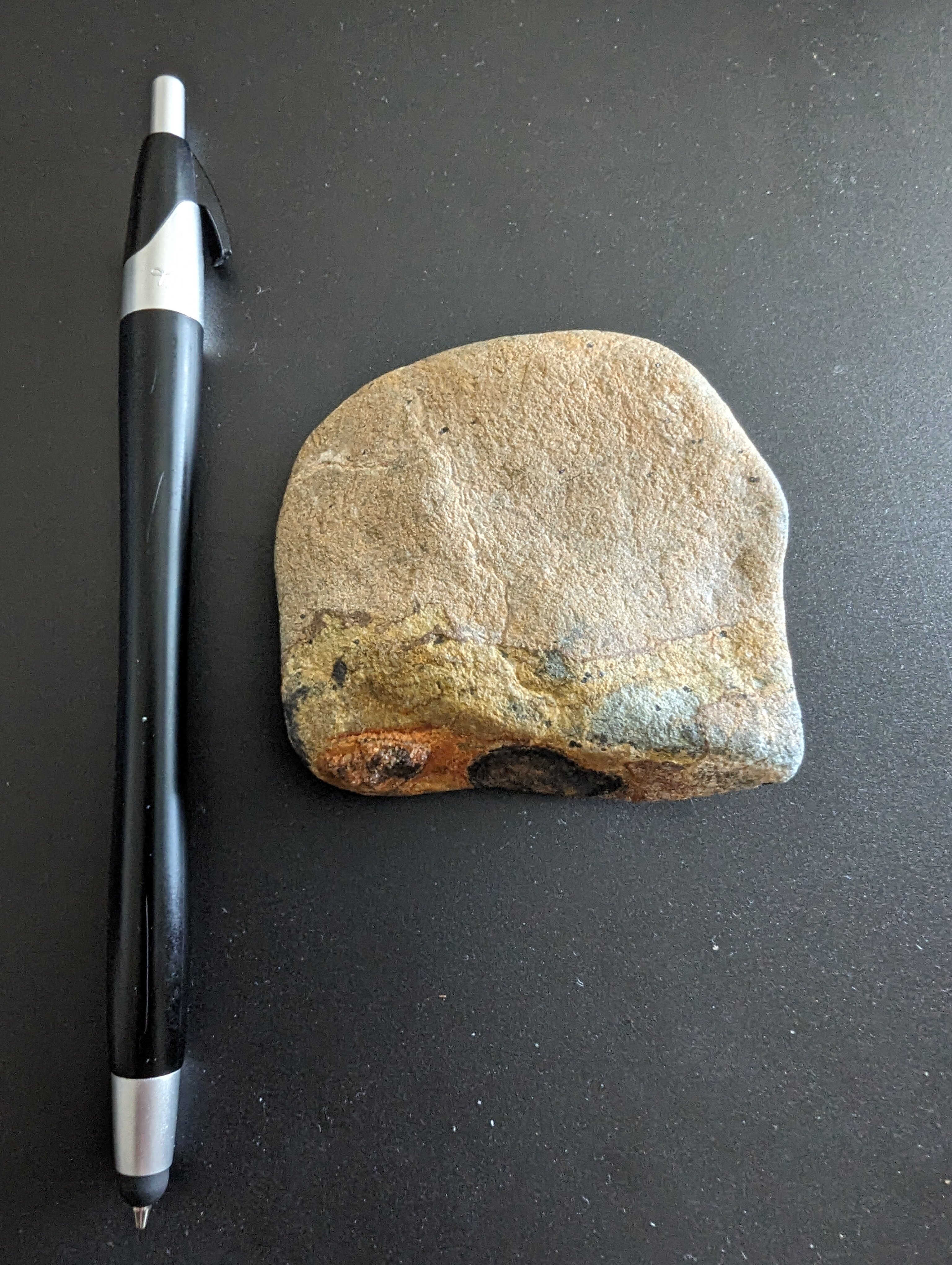 Fossile? Rock? Iron? Bone? - Fossil ID - The Fossil Forum