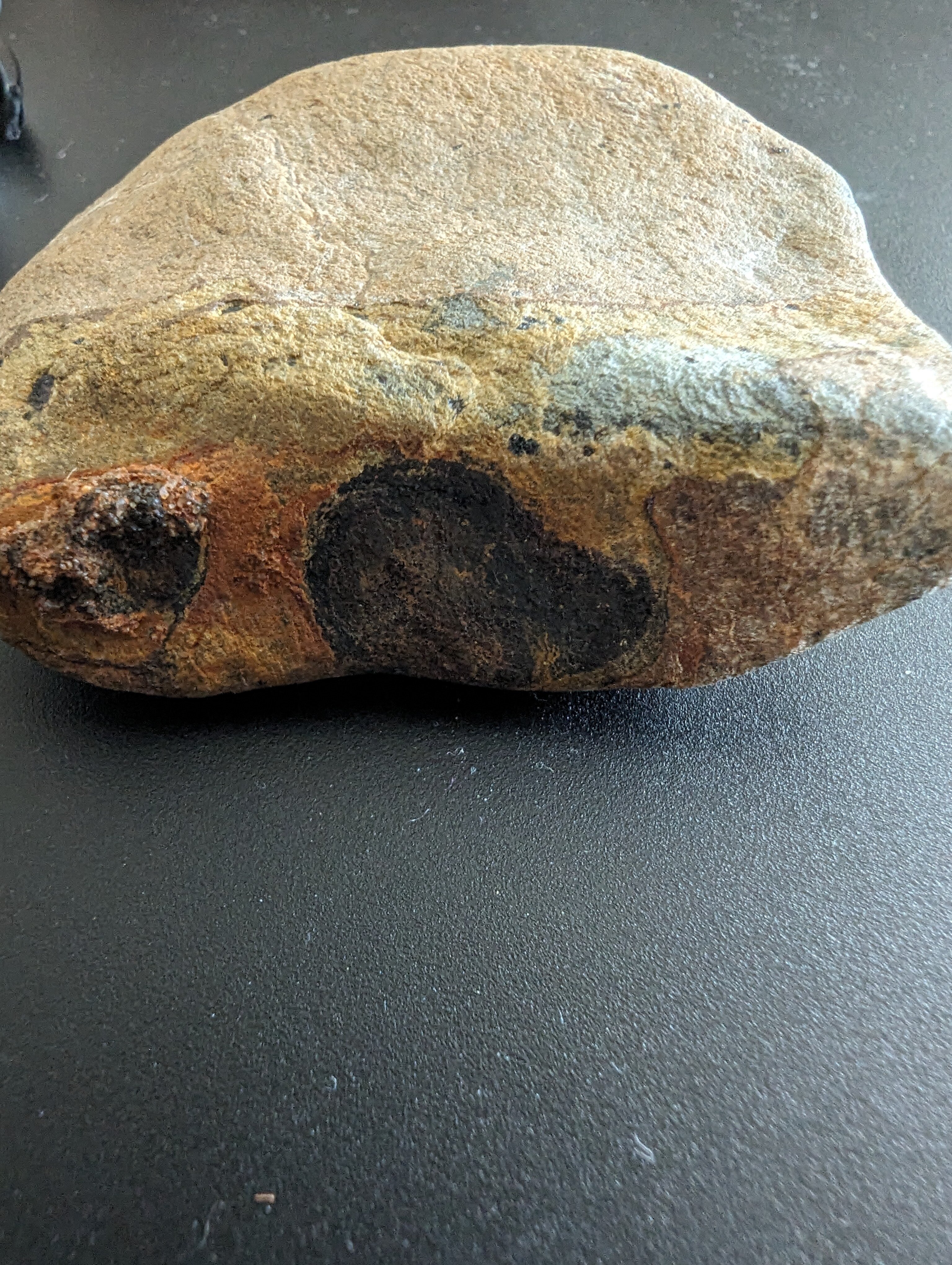 Fossile? Rock? Iron? Bone? - Fossil ID - The Fossil Forum