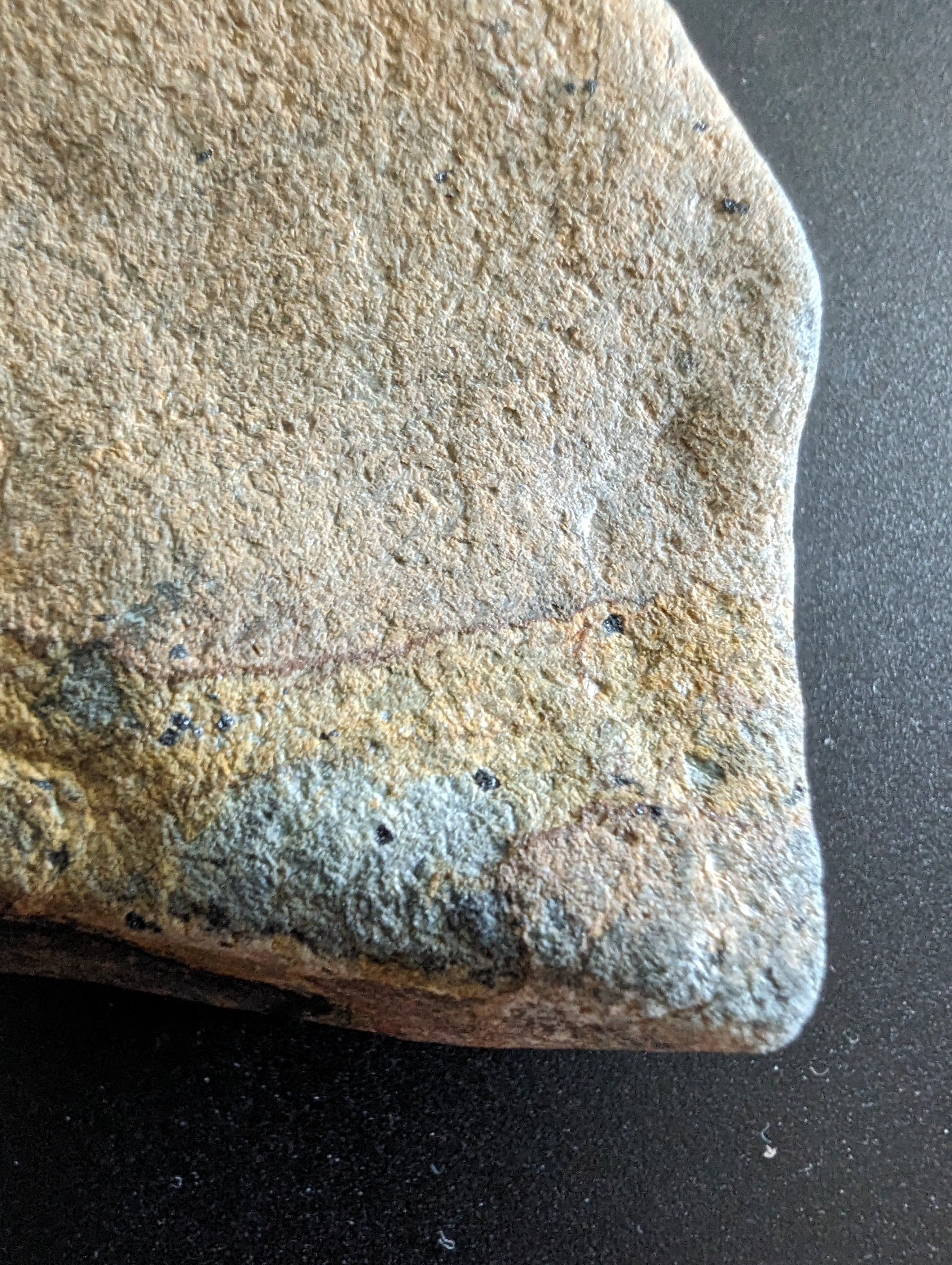 Fossile? Rock? Iron? Bone? - Fossil ID - The Fossil Forum