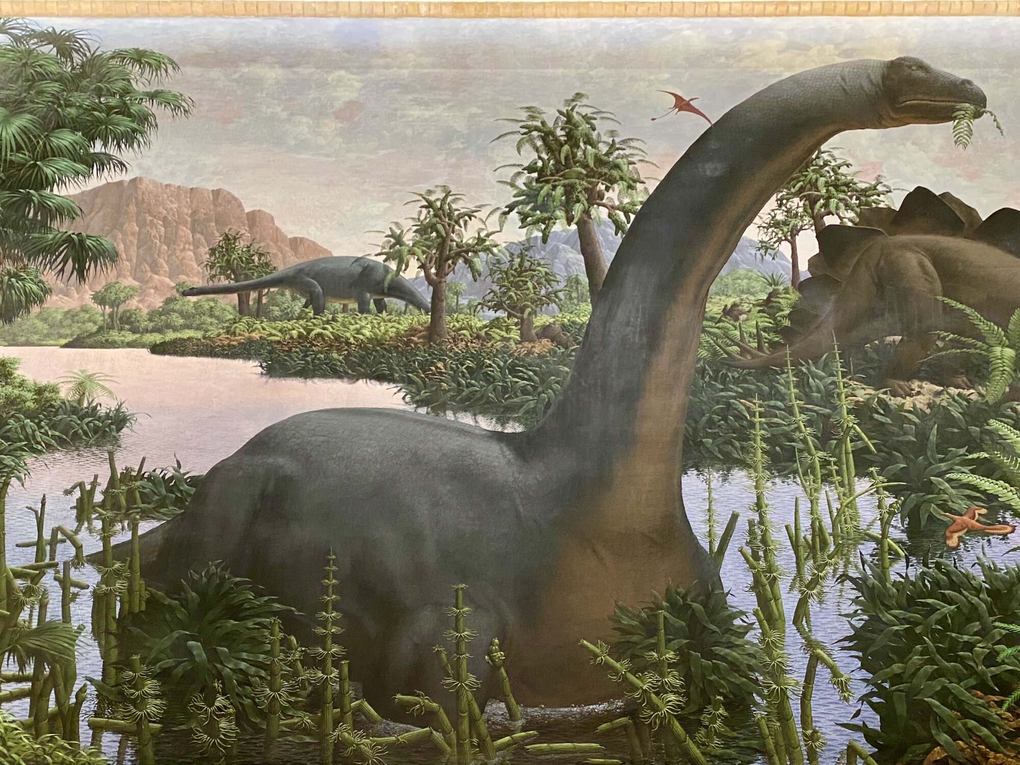 Yale Peabody Museum - A Trip to the Museum - The Fossil Forum