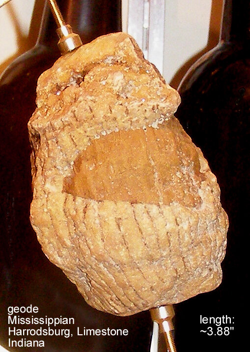Fossil Geode - Fossil ID - The Fossil Forum