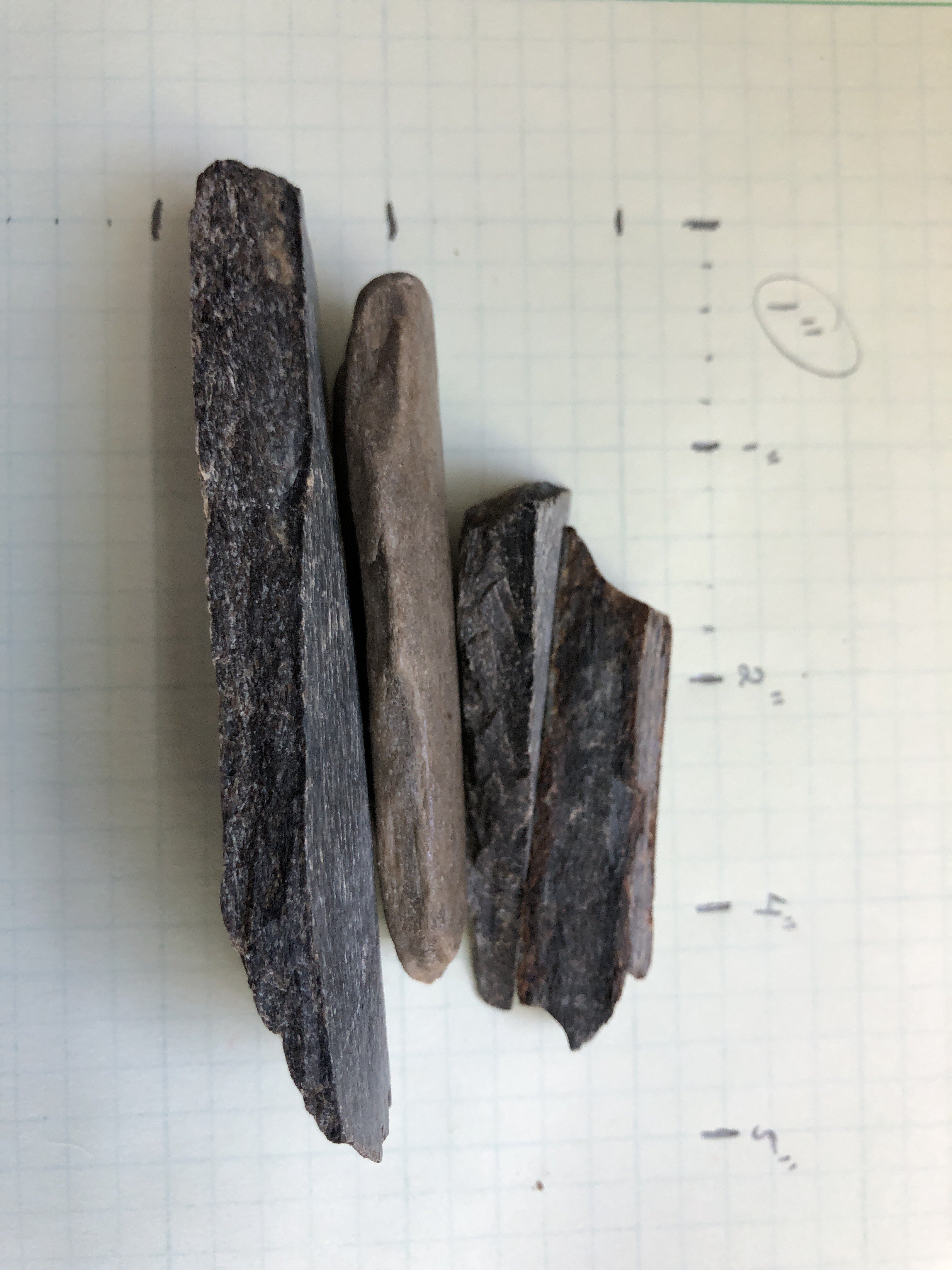 Nebraska - South Platte River Gravel Piles - Ivory Fragments? - Fossil ...