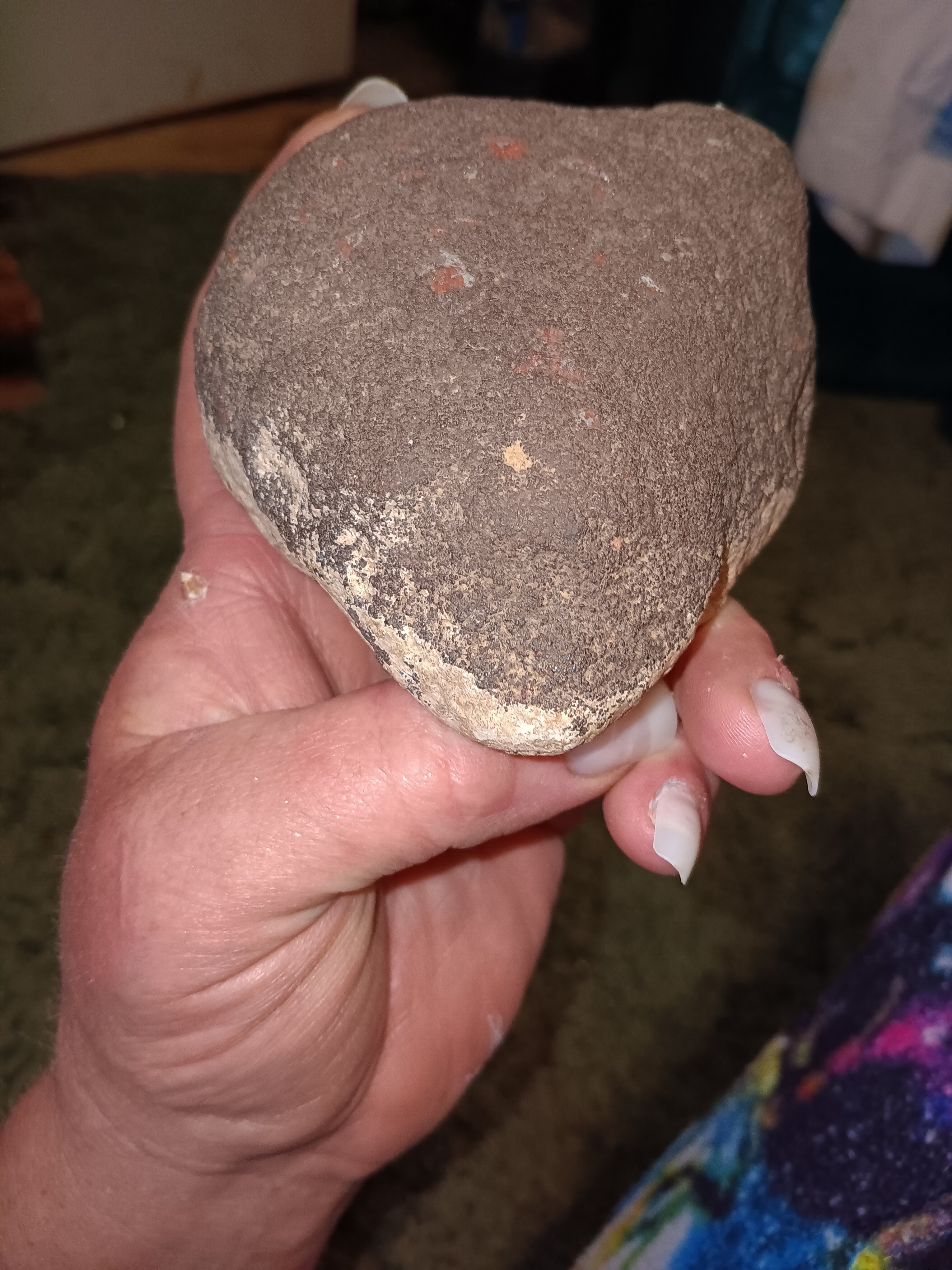 Very heavy tooth shaped rock - Fossil ID - The Fossil Forum