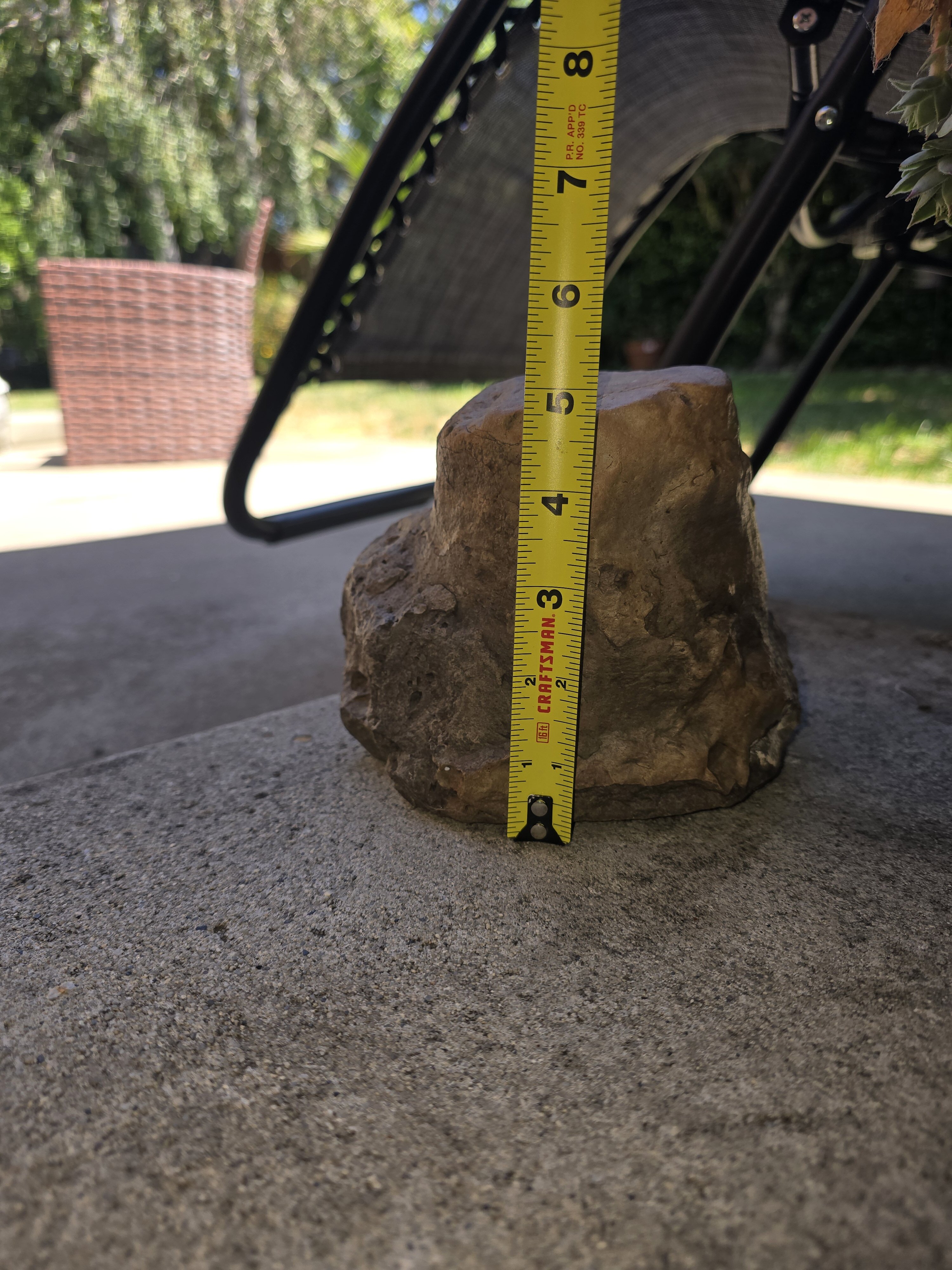 What Dino egg & bone - Fossil ID - The Fossil Forum