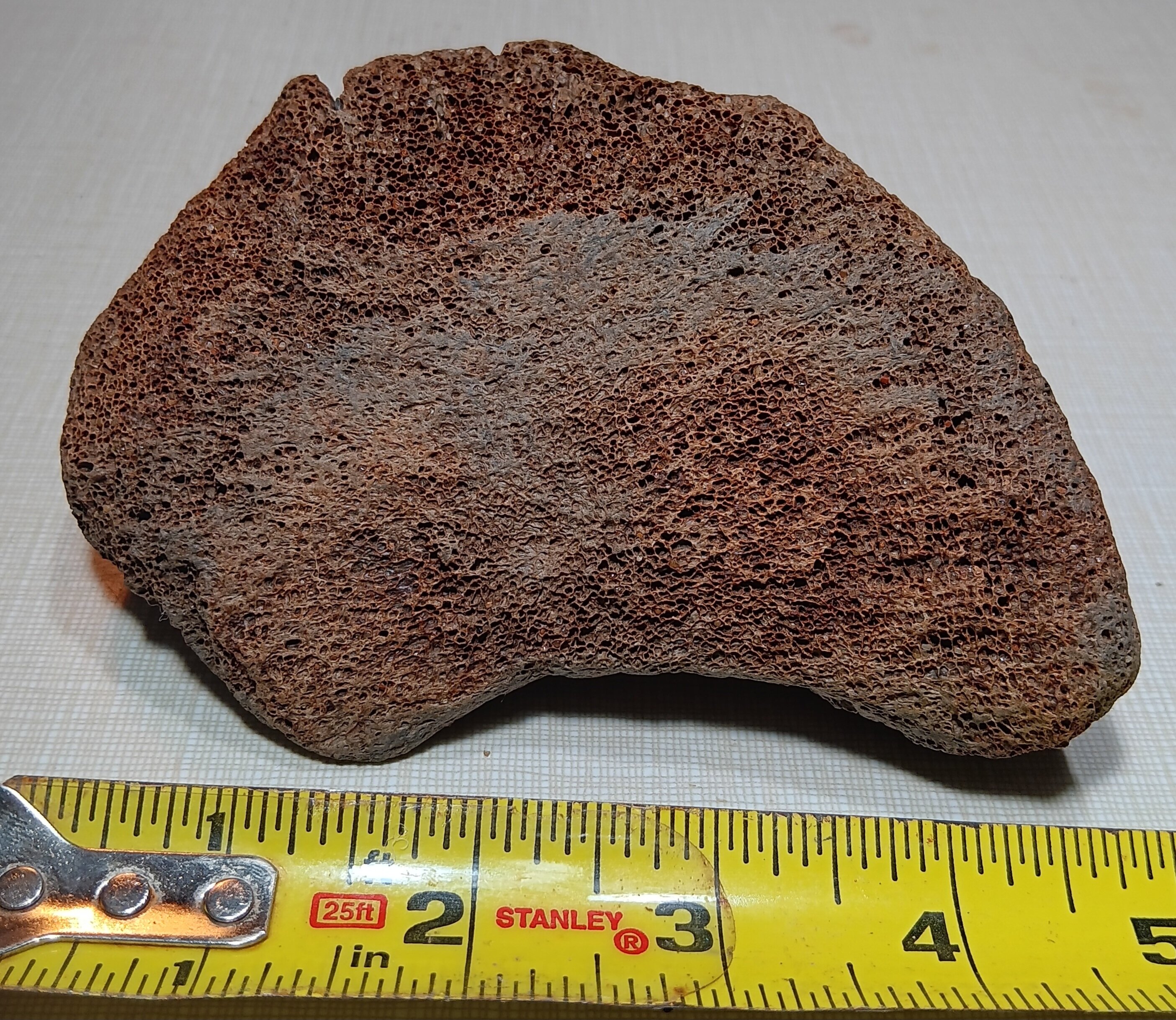SE Texas - Large Mammal Bone 2 - Fossil ID - The Fossil Forum