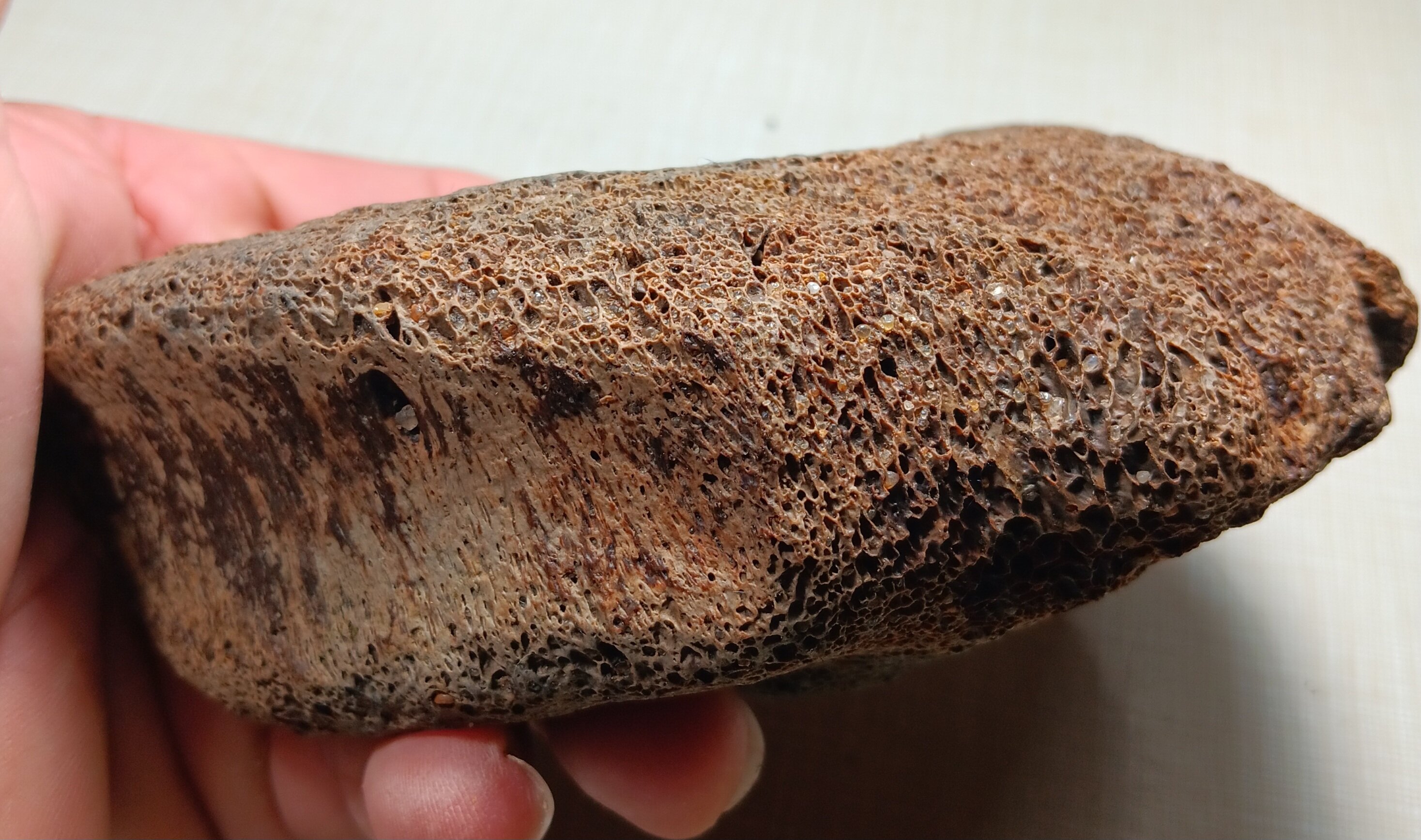 SE Texas - Large Mammal Bone 2 - Fossil ID - The Fossil Forum