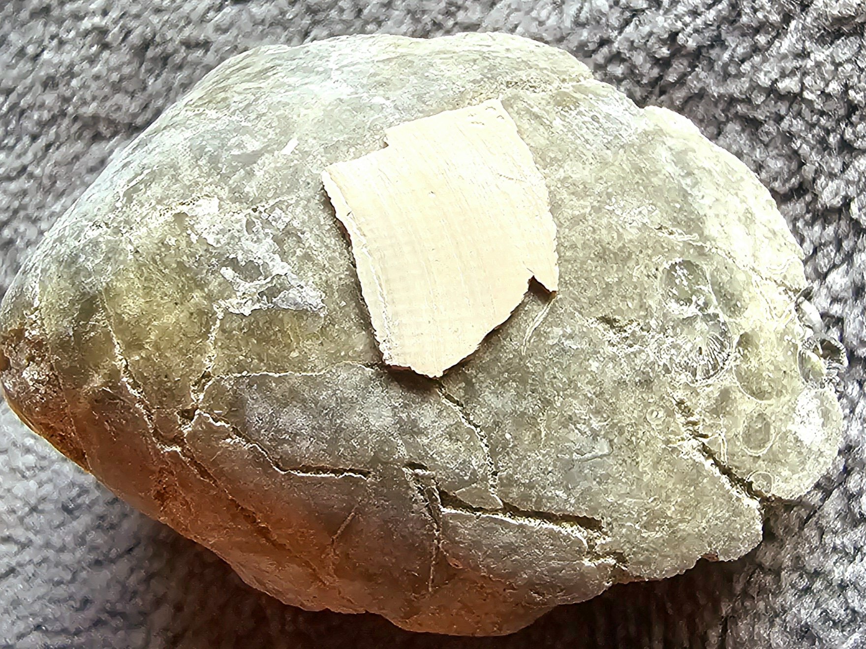 My 4th fossil pile! More goodies!! - Fossil Hunting Trips - The Fossil ...