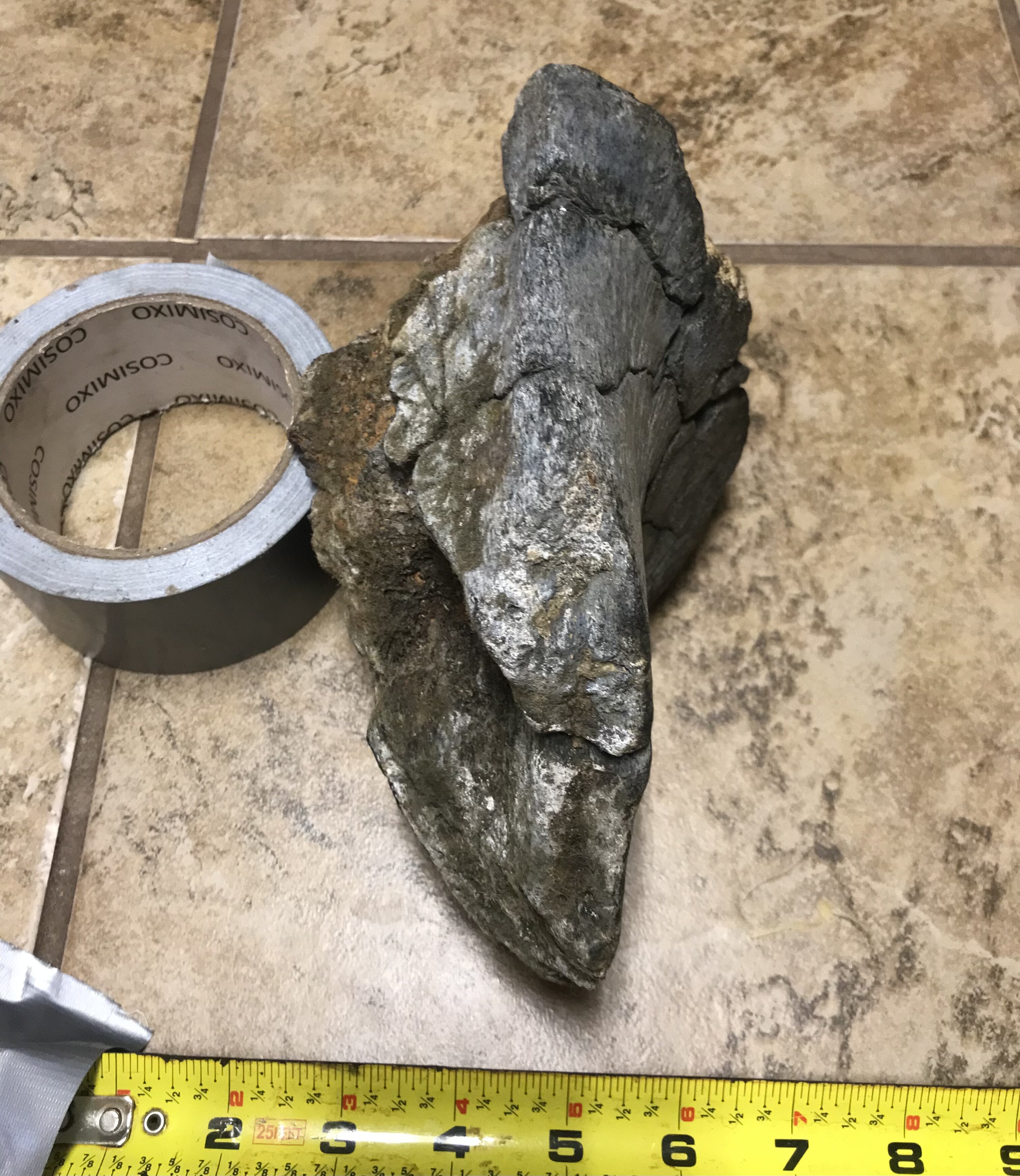 large bone fragment help? - Fossil ID - The Fossil Forum