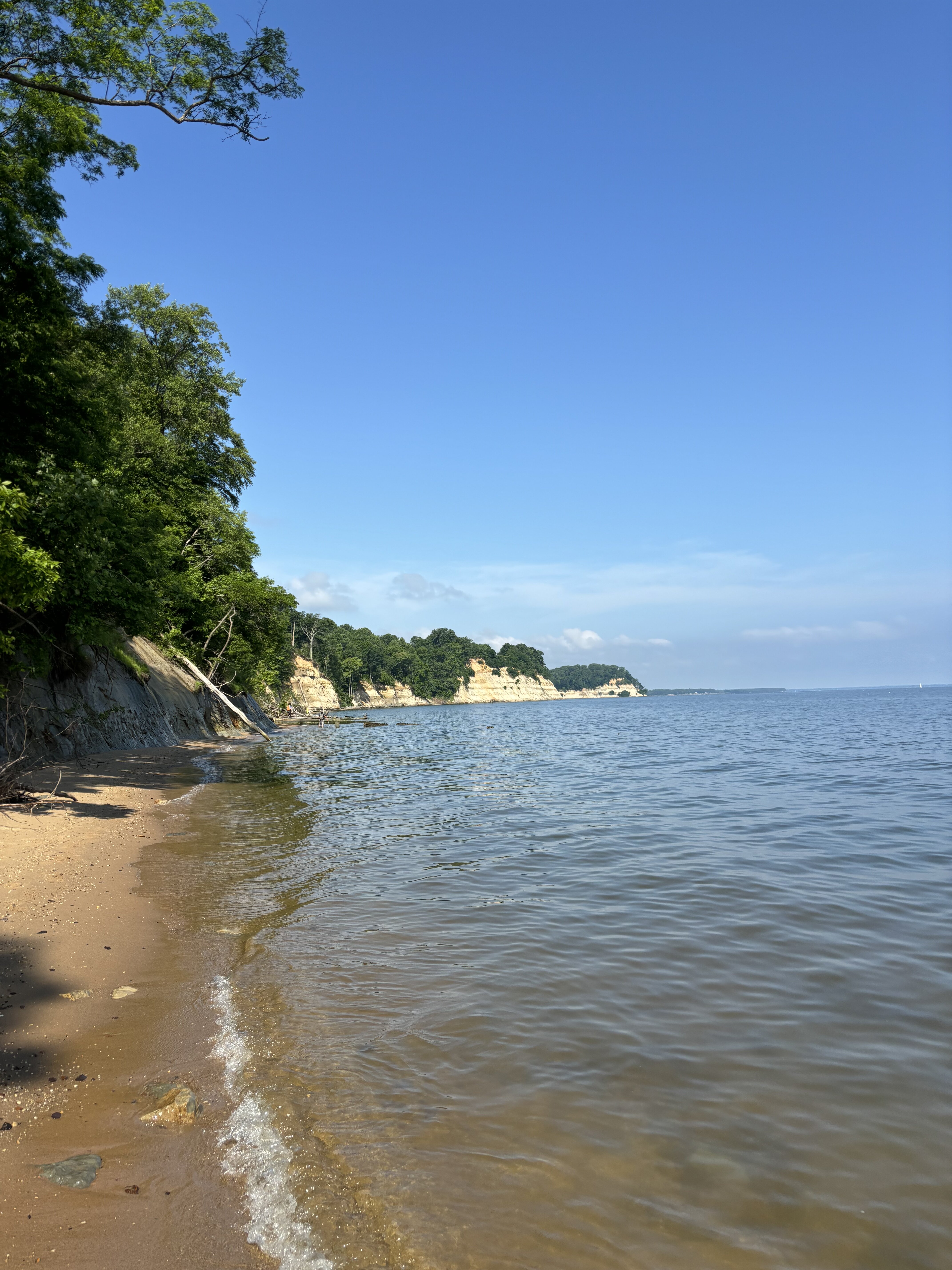 Stratford Cliffs Fossil Hunting Excursion - Fossil Hunting Trips - The ...