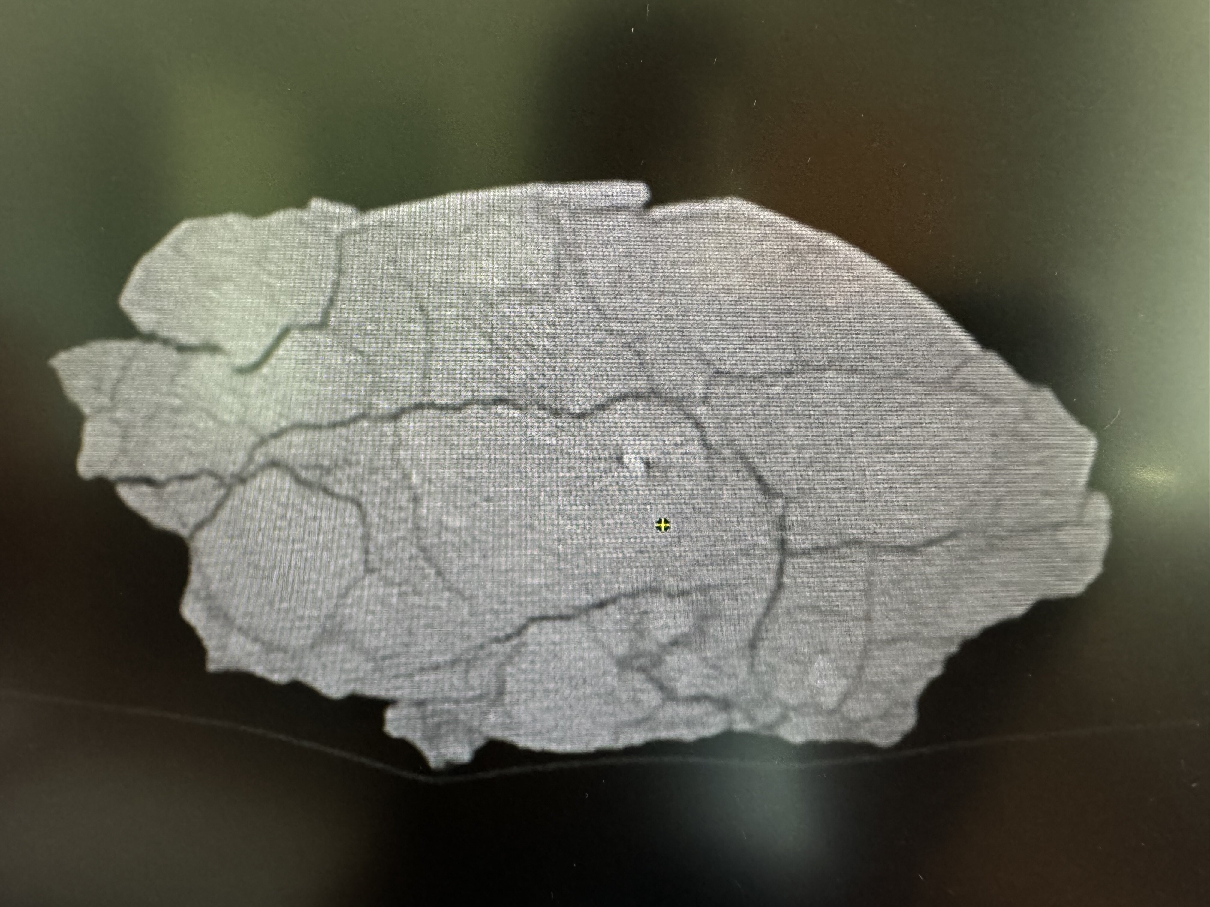 CAT Scan of Cairanoolithus egg - Digital Fossil Preparation - The ...