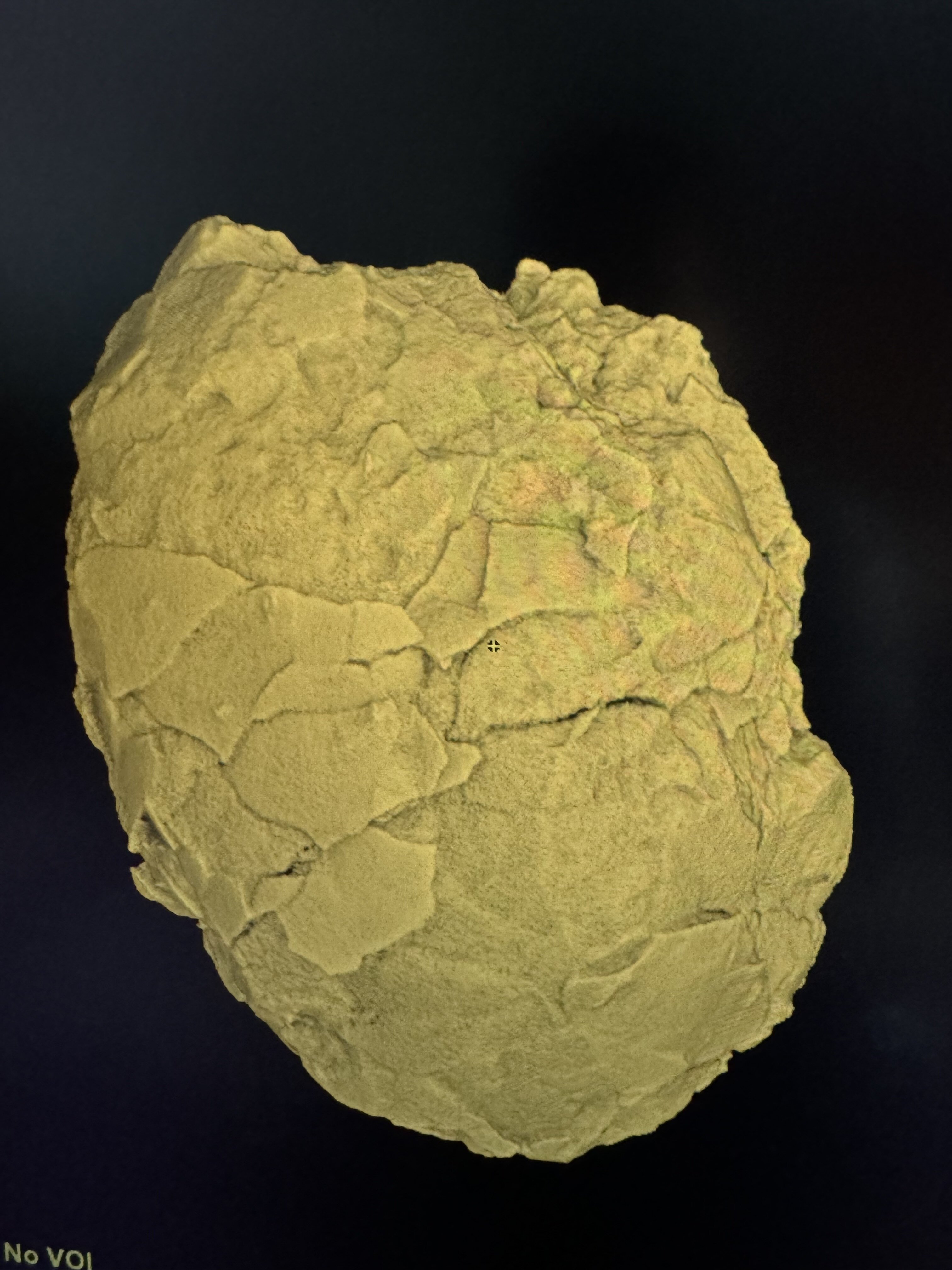 CAT Scan of Cairanoolithus egg - Digital Fossil Preparation - The ...