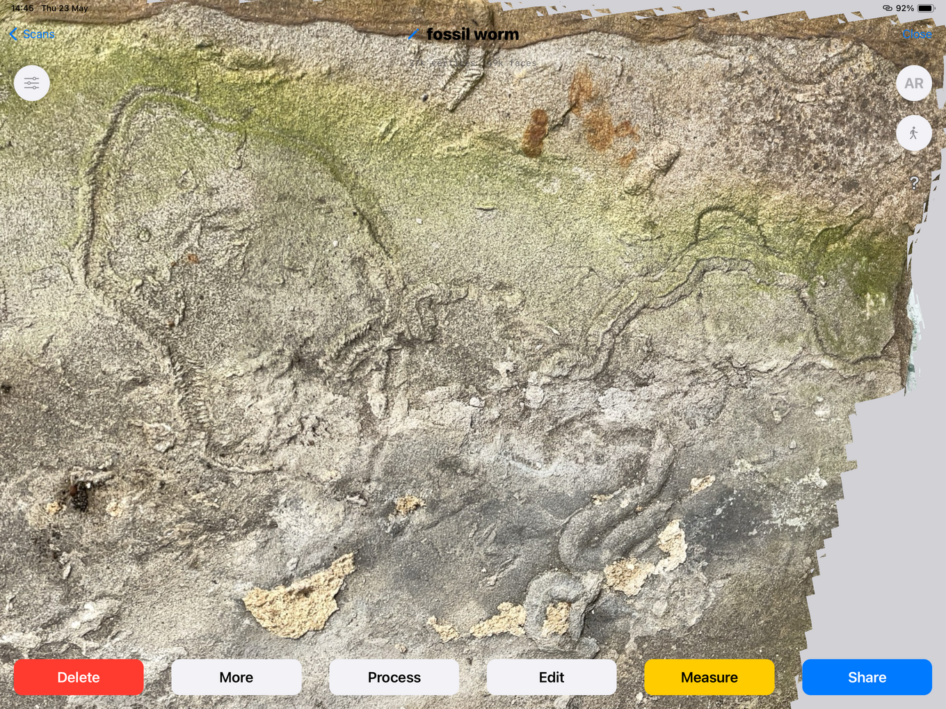 Yorkshire sandstone worm? trail - Fossil ID - The Fossil Forum