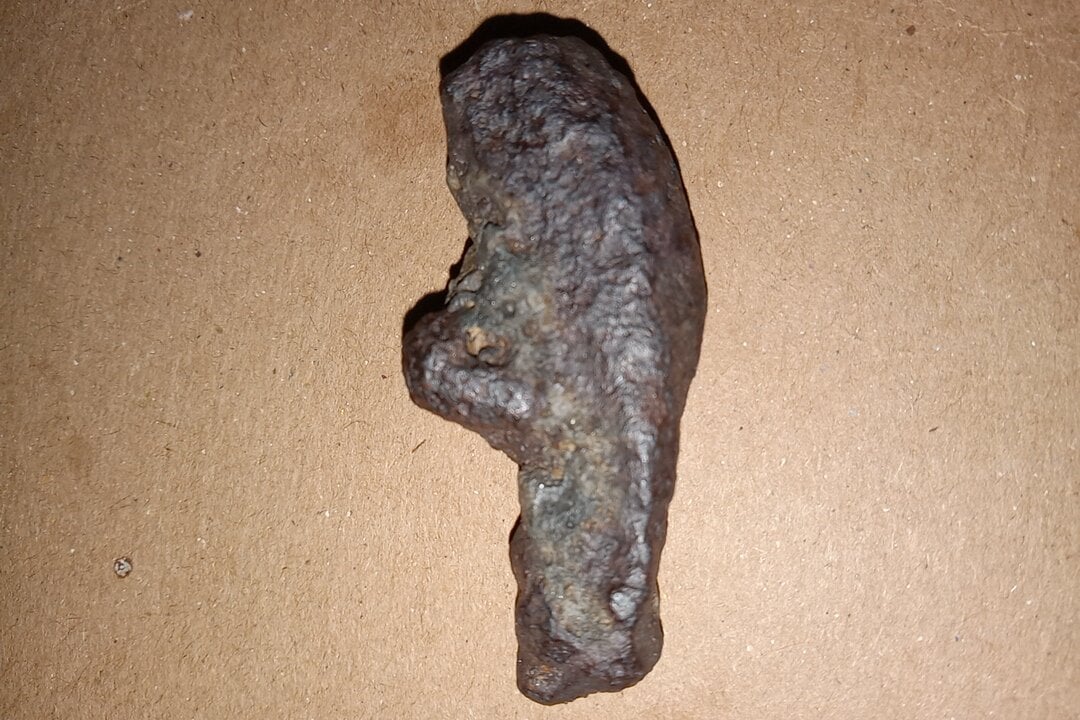 Magnetic fossil - Fossil ID - The Fossil Forum