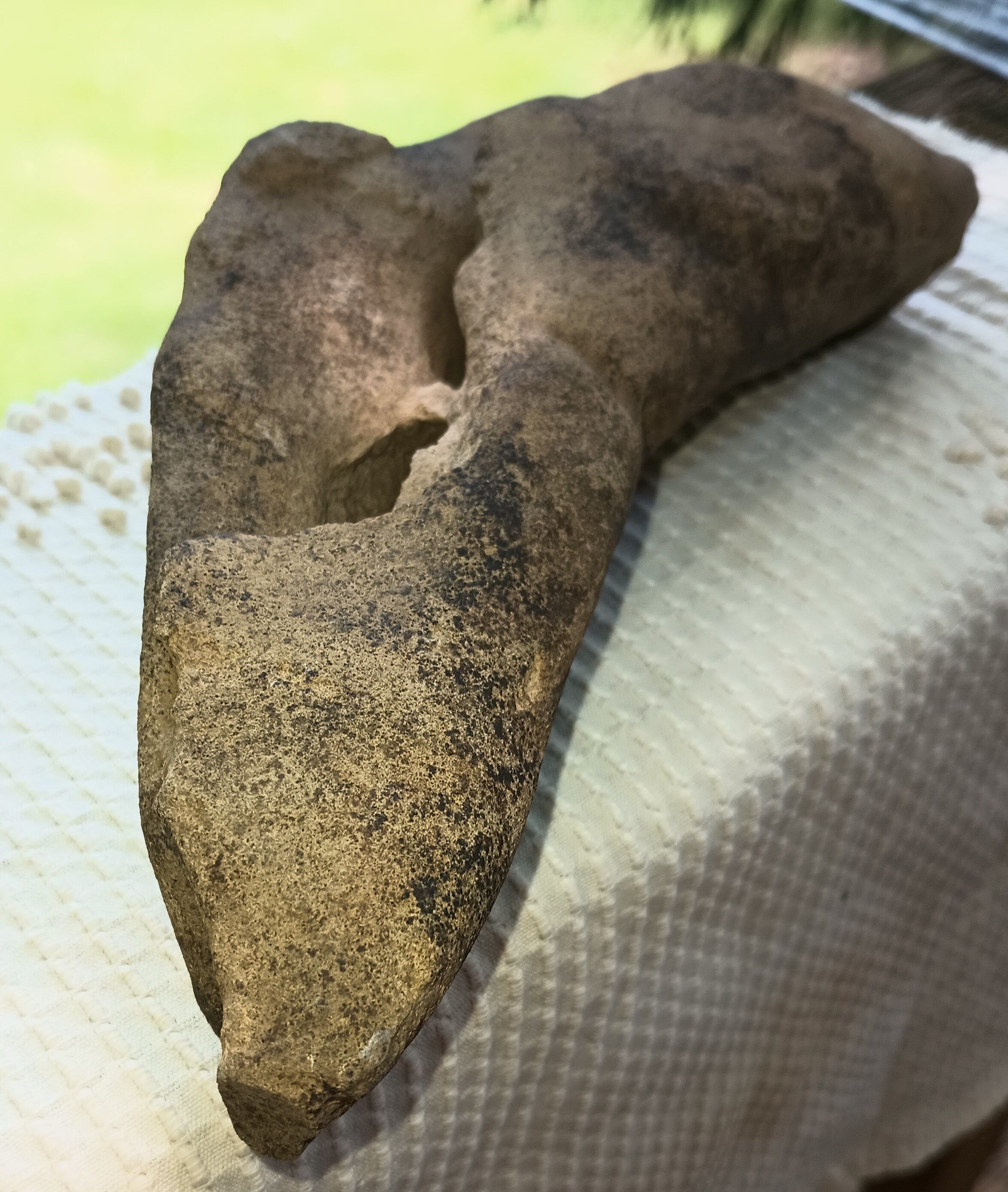 Hope to identify this fossil I found on my property in upper middle ...