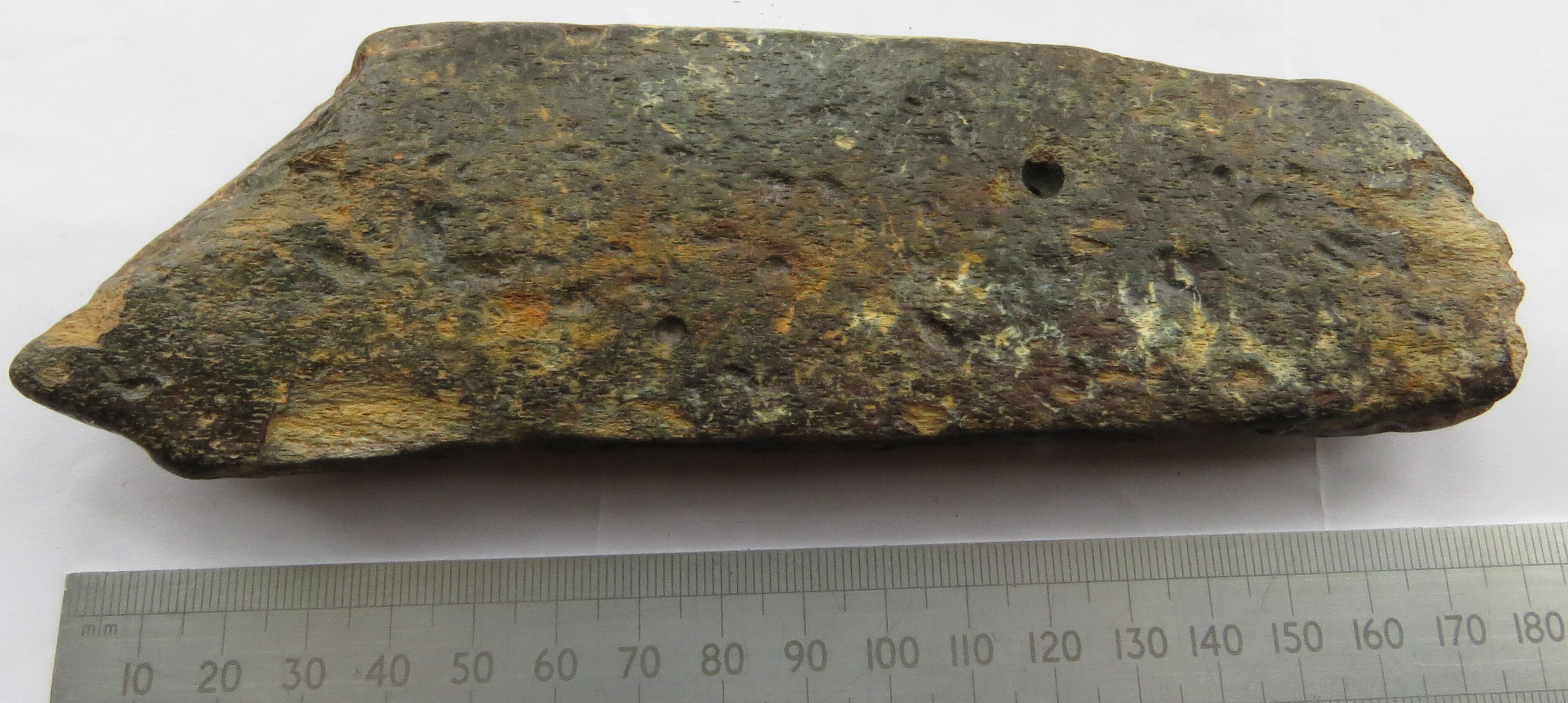 'Grey' bone/wood fossil found in Suffolk, UK. - Fossil ID - The Fossil ...