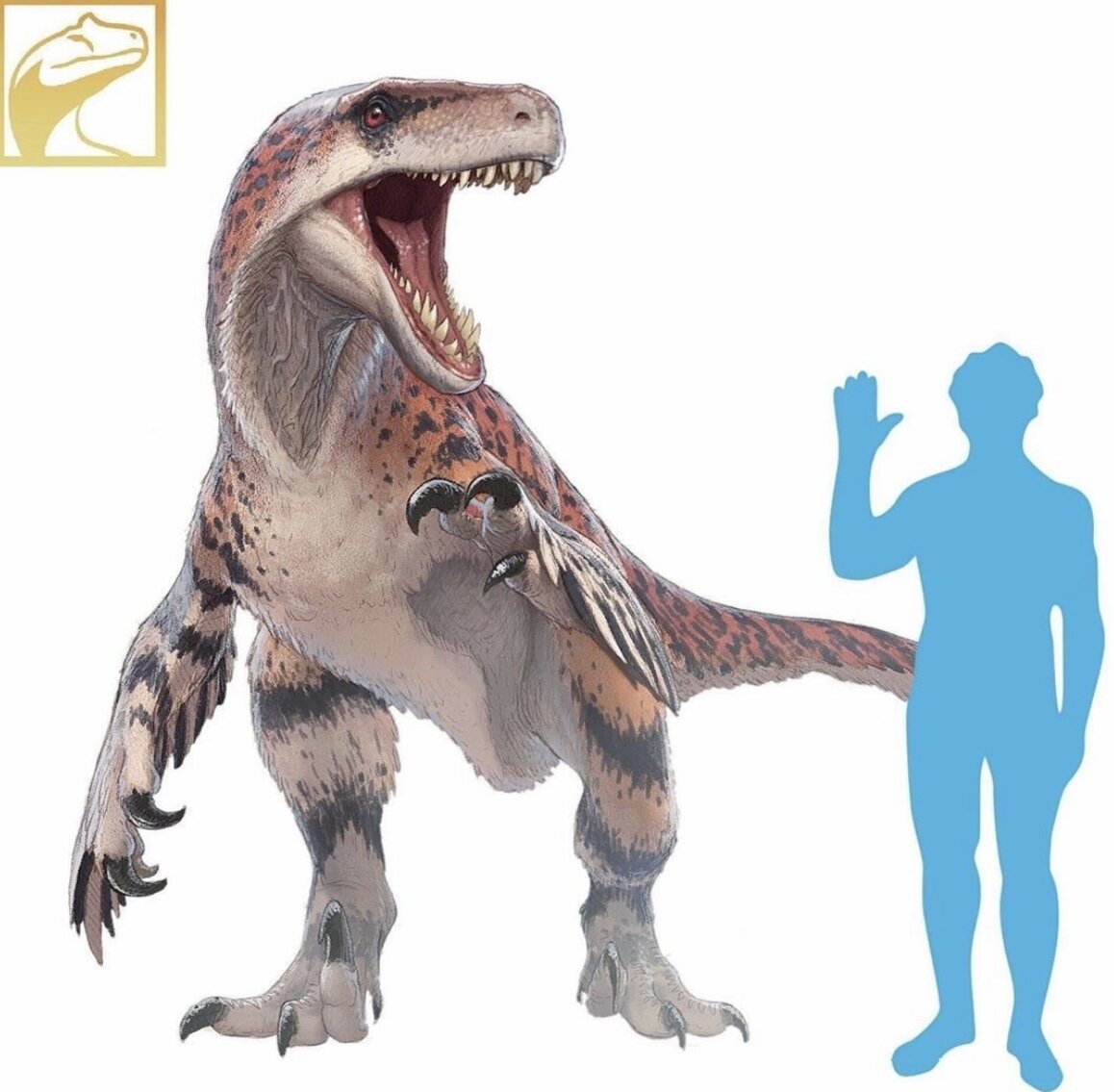 Question about a possible new species of Utahraptor from Early ...