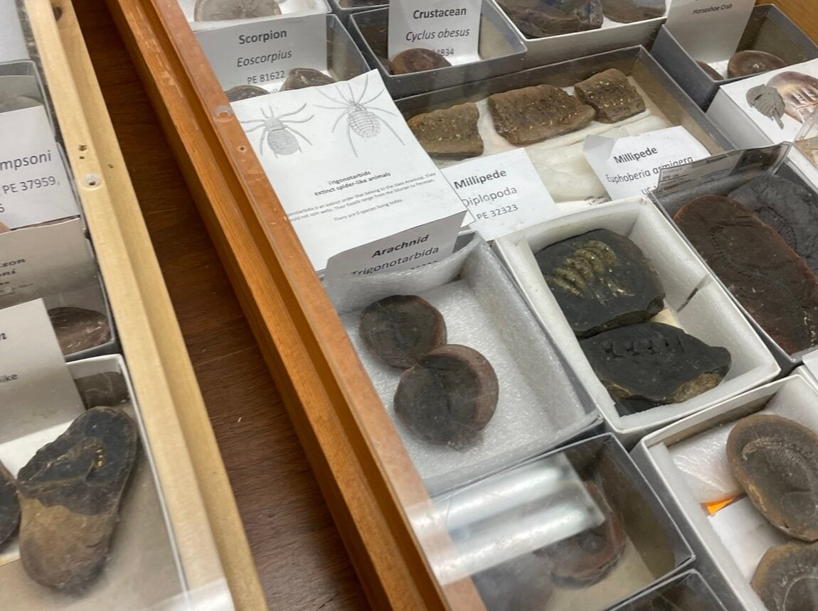 Trip to Chicago's Field Museum Members night May 9th, 2024 - A Trip to ...