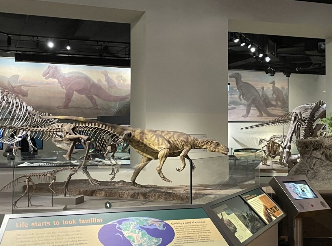 Trip to Chicago's Field Museum Members night May 9th, 2024 - A Trip to ...