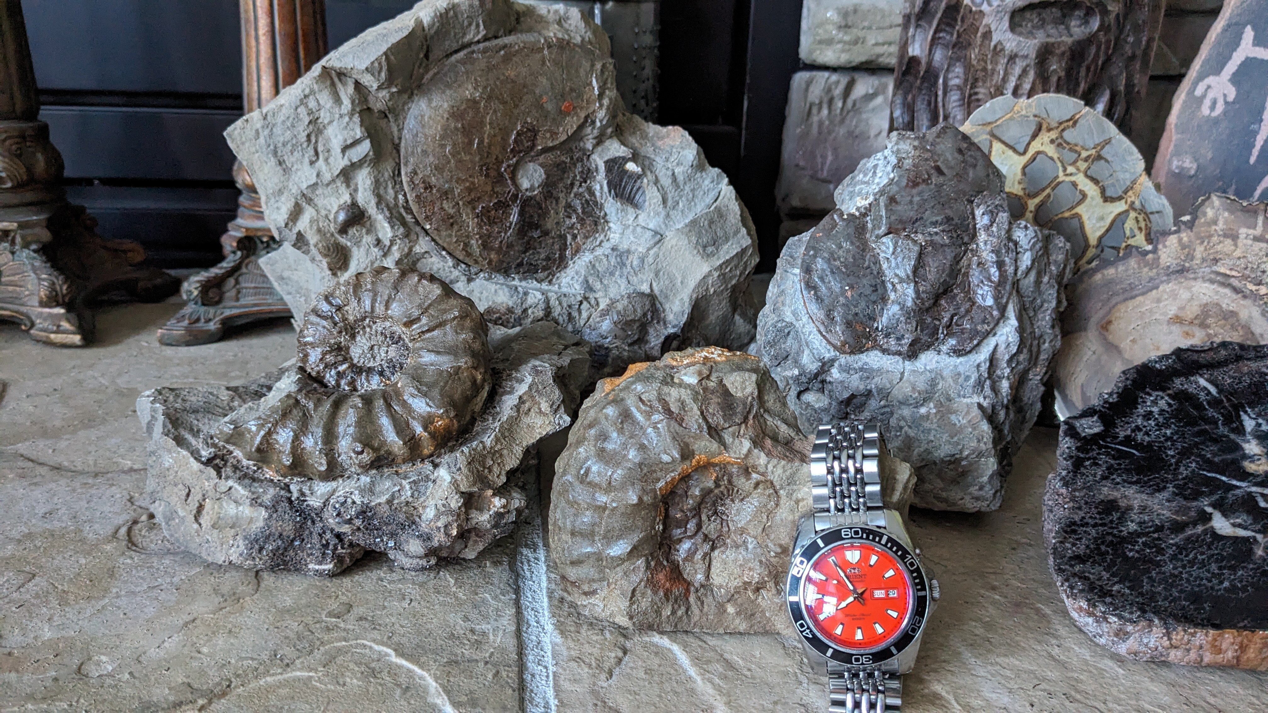 Is there a powder I could brush on this fossil to increase contrast ...