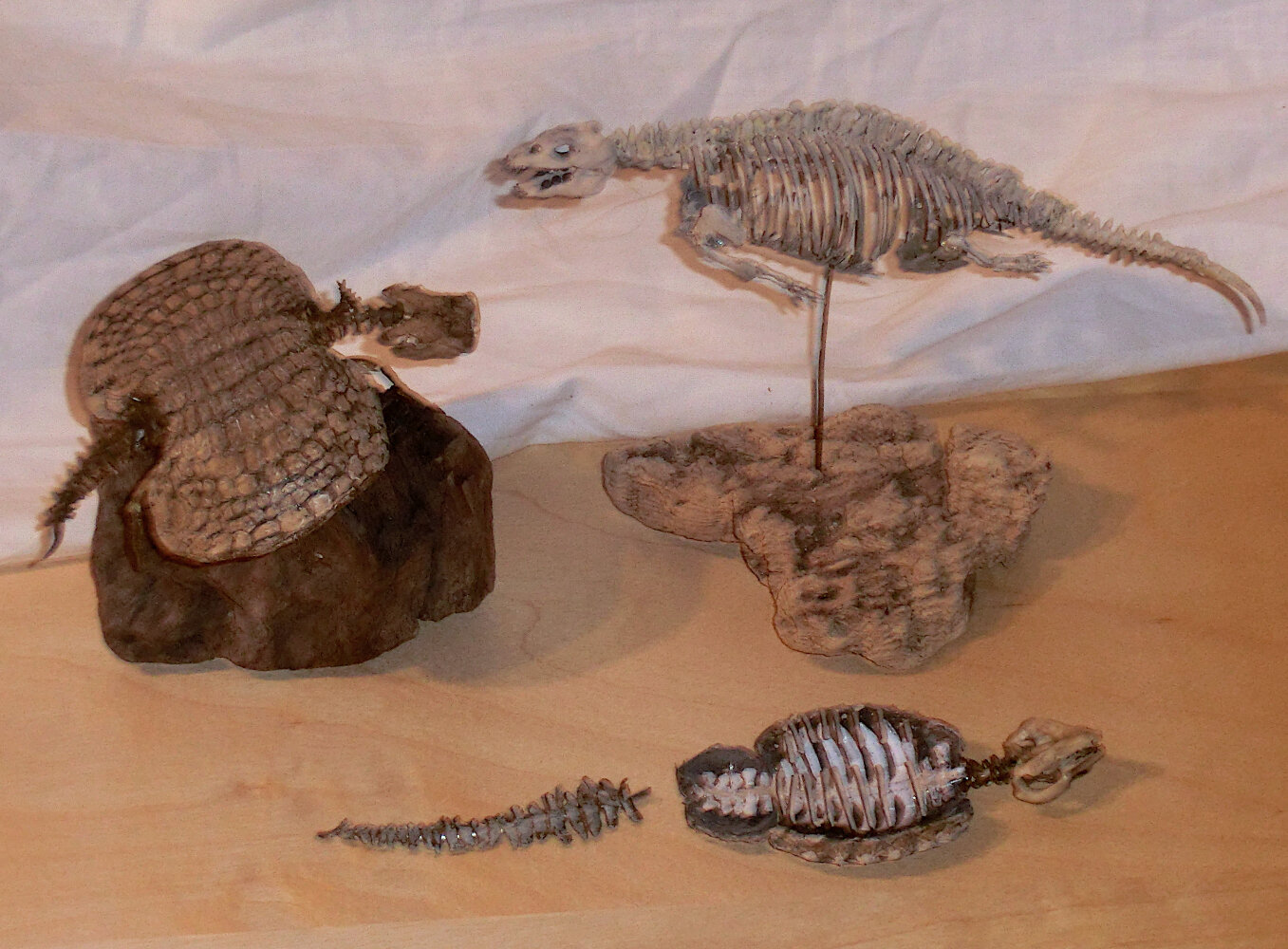 Model resurrection - Paleo Re-creations - The Fossil Forum