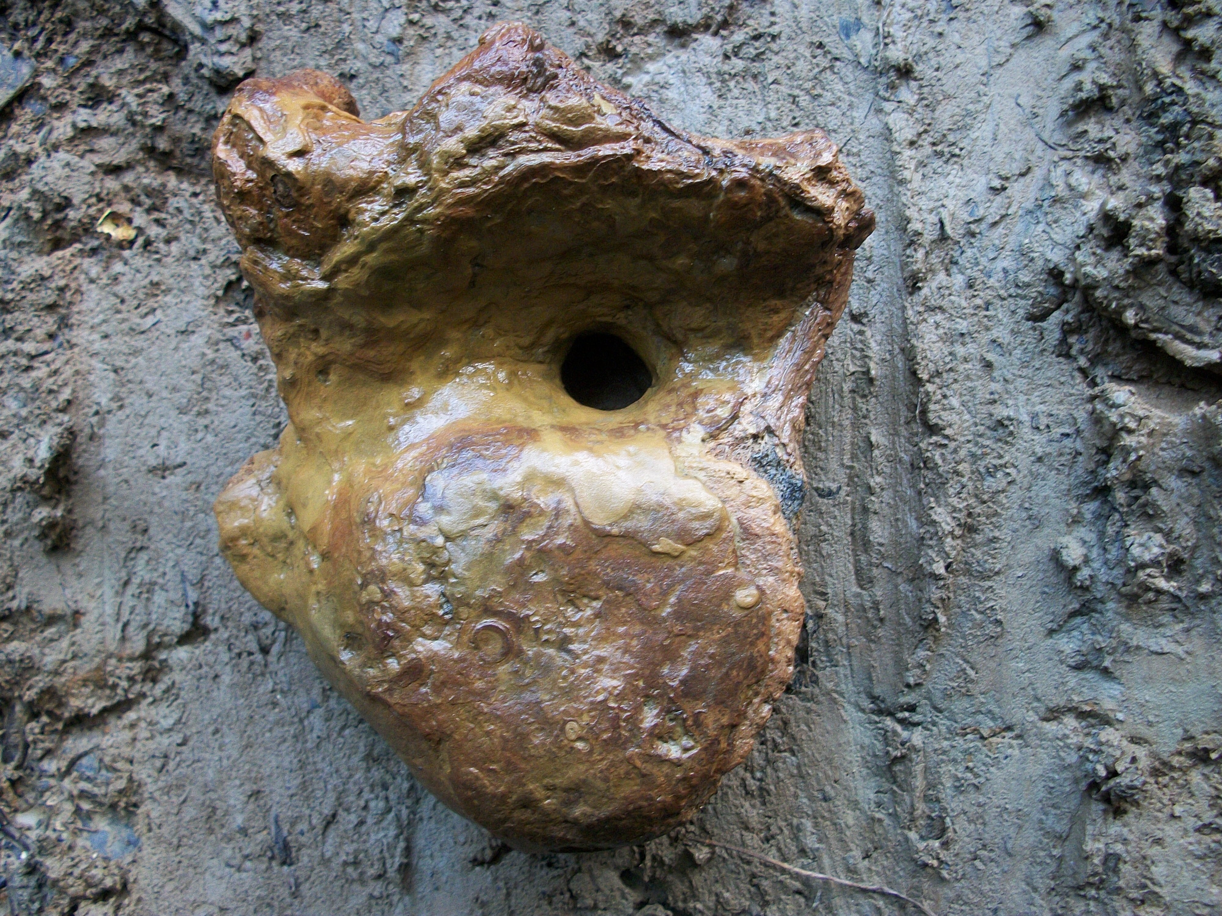 Mastodon Bone Identification - Fossil ID - The Fossil Forum