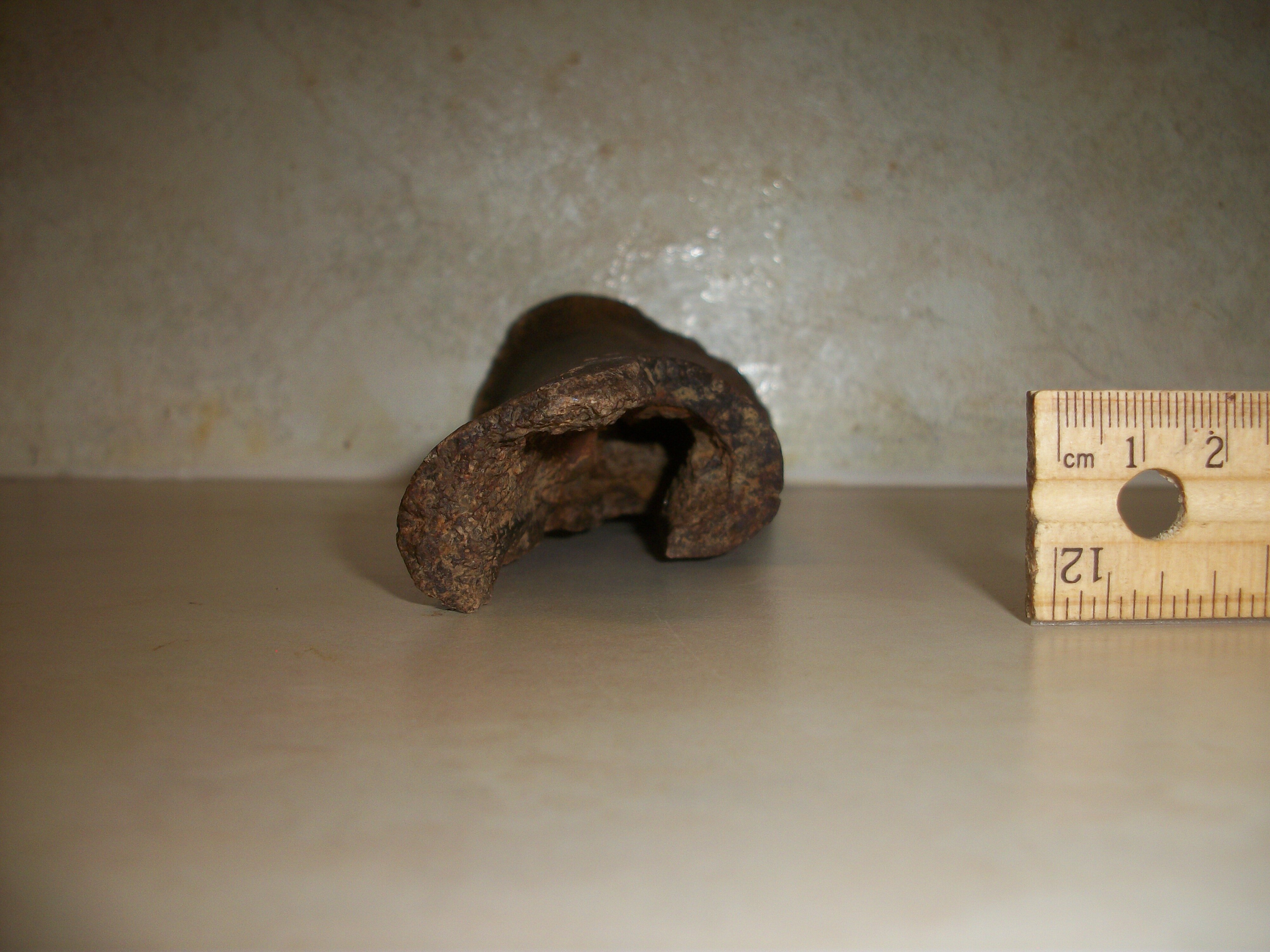 Leg Bone ID - Fossil ID - The Fossil Forum