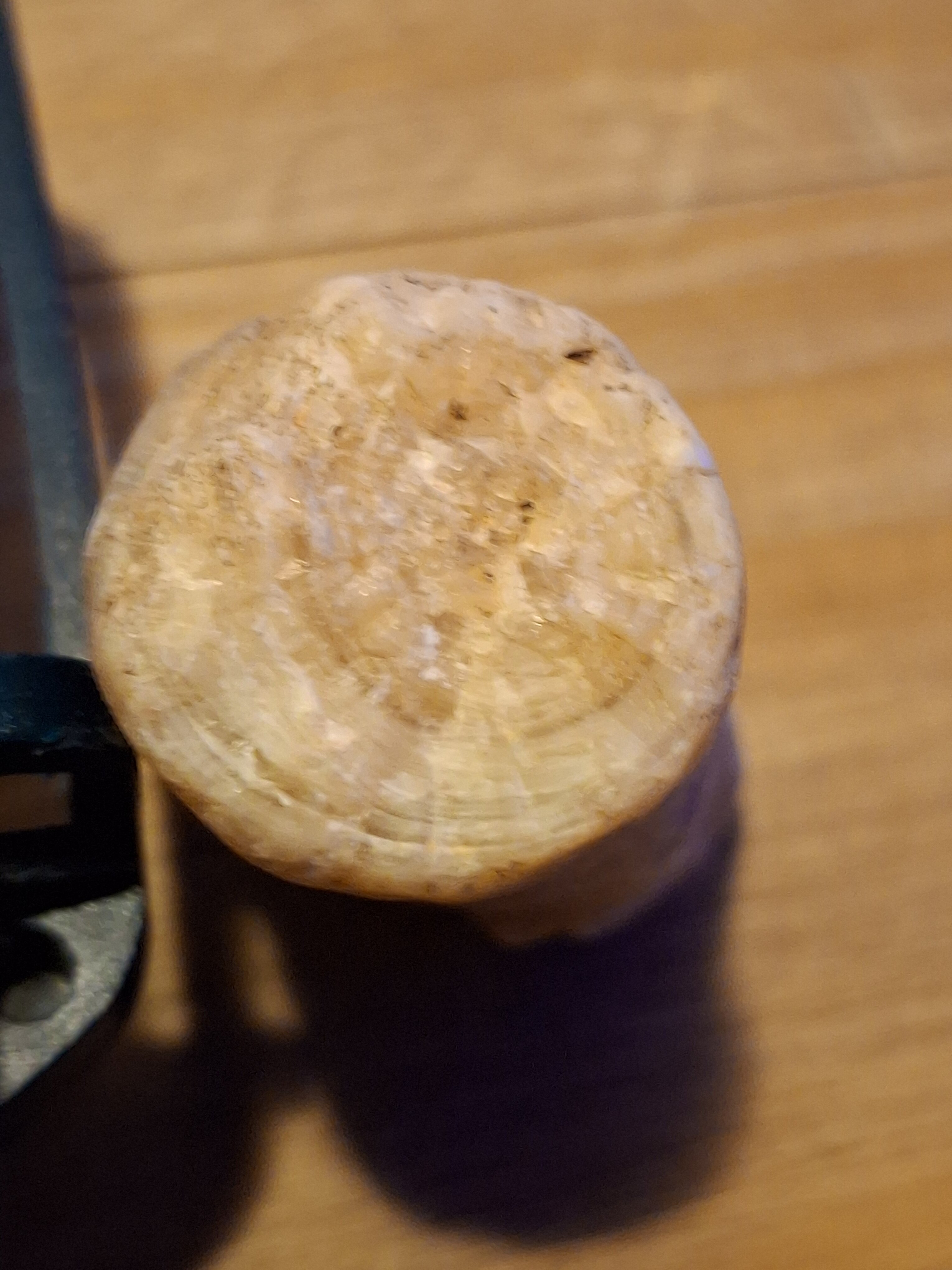 Crystallized bone - Fossil ID - The Fossil Forum
