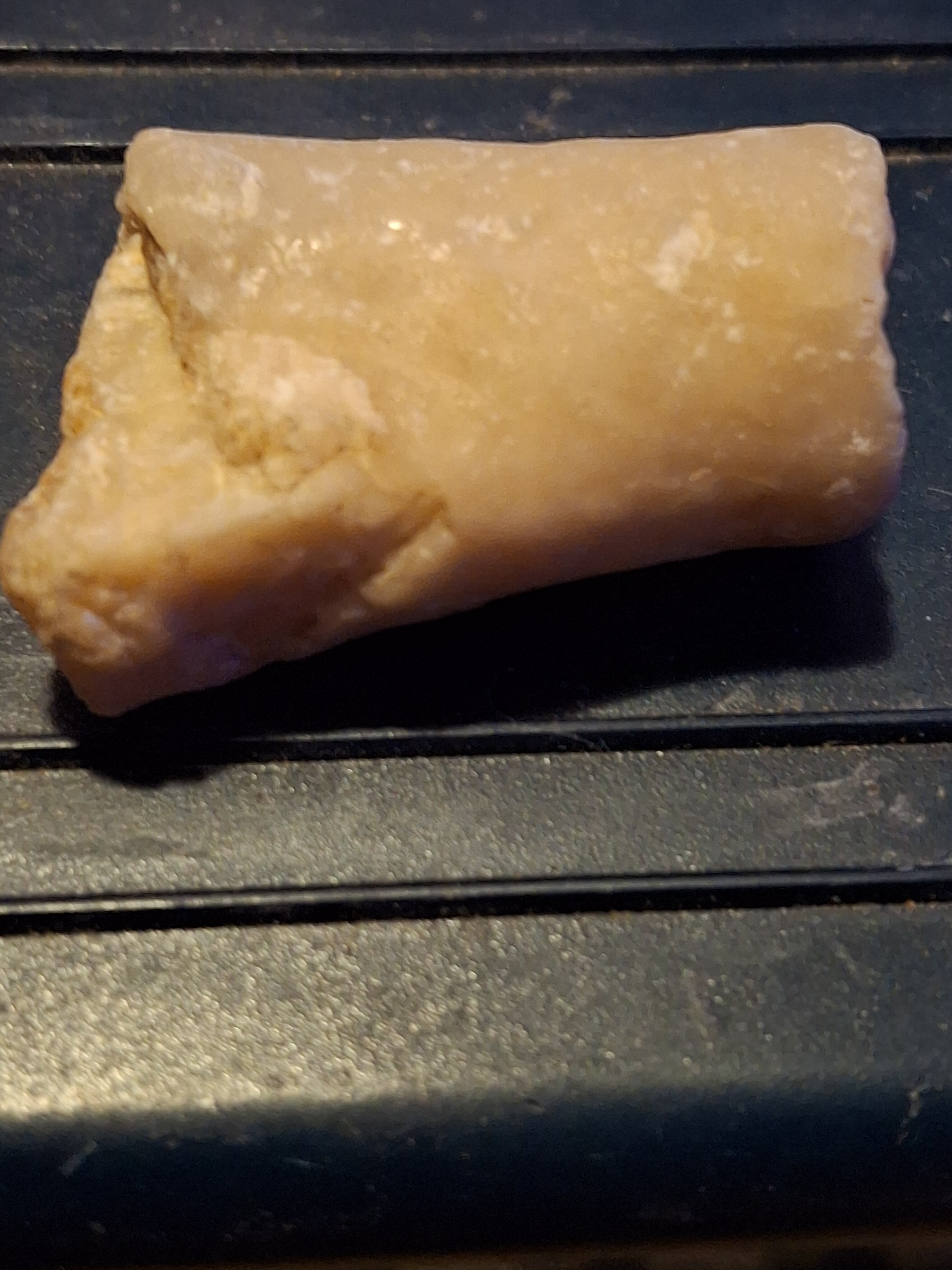 Crystallized bone - Fossil ID - The Fossil Forum