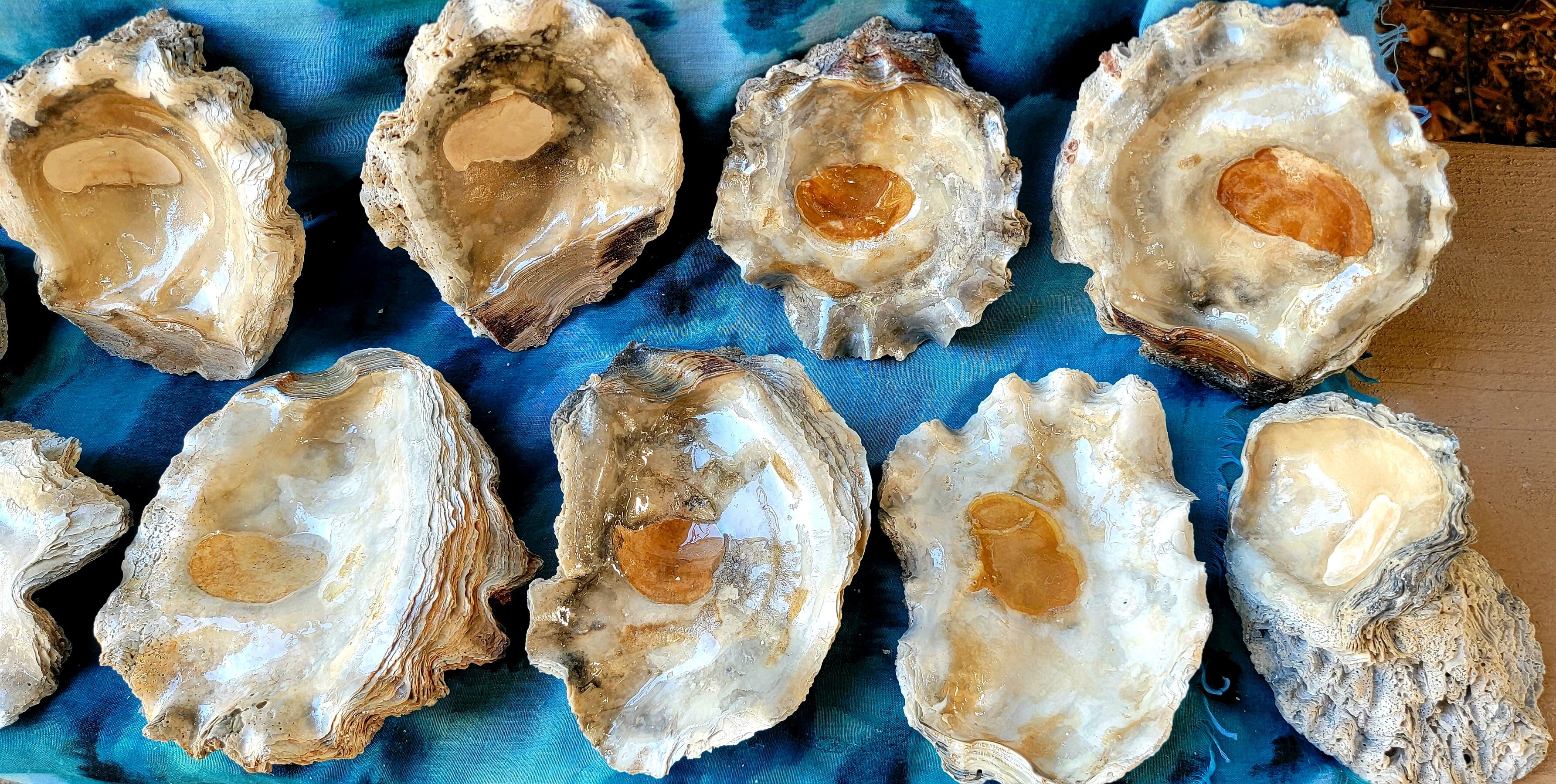 Large matrix pieces with calcite, fossil shells. - Fossil Hunting Trips ...