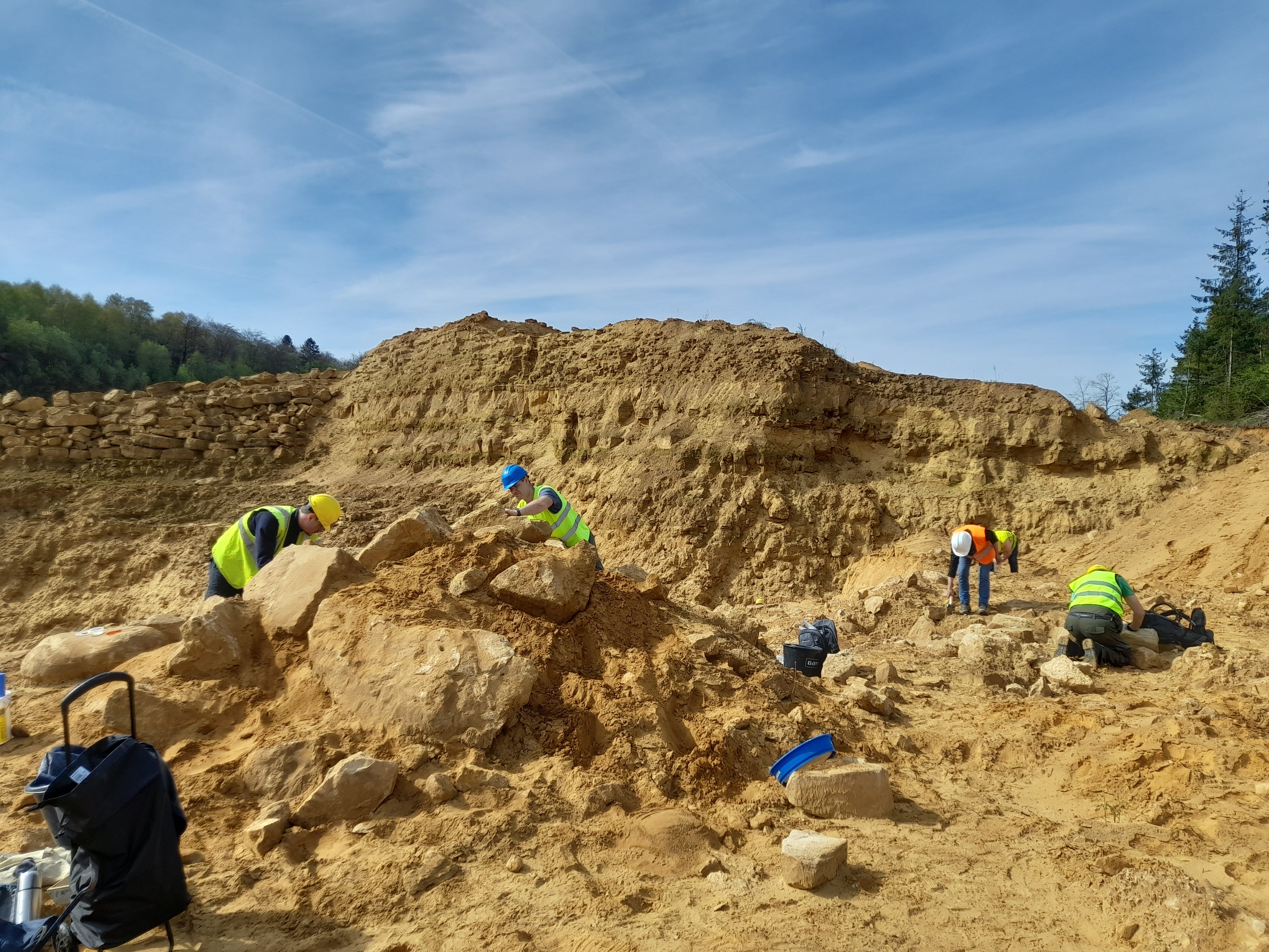 Fossil hunting weekend to the Jurassic of Luxembourg (BE & LUX ...