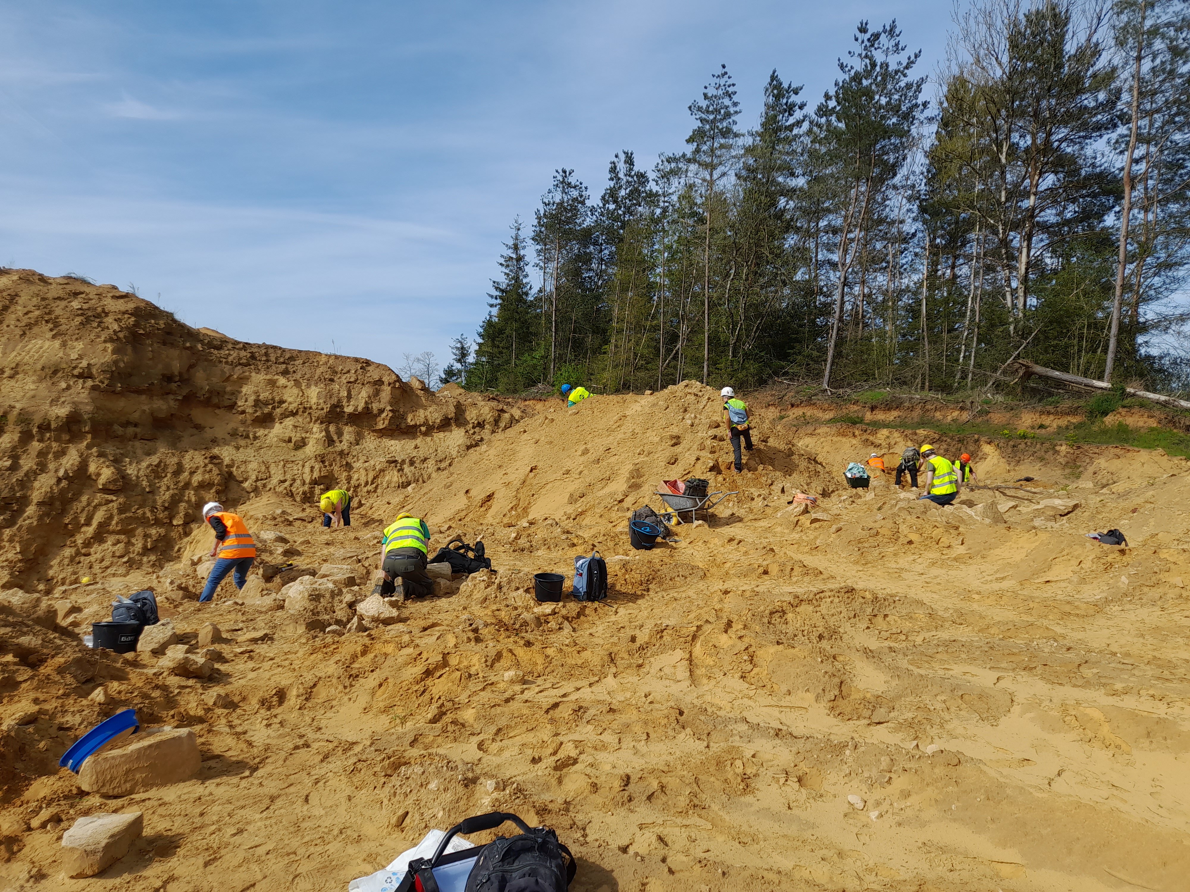 Fossil hunting weekend to the Jurassic of Luxembourg (BE & LUX ...