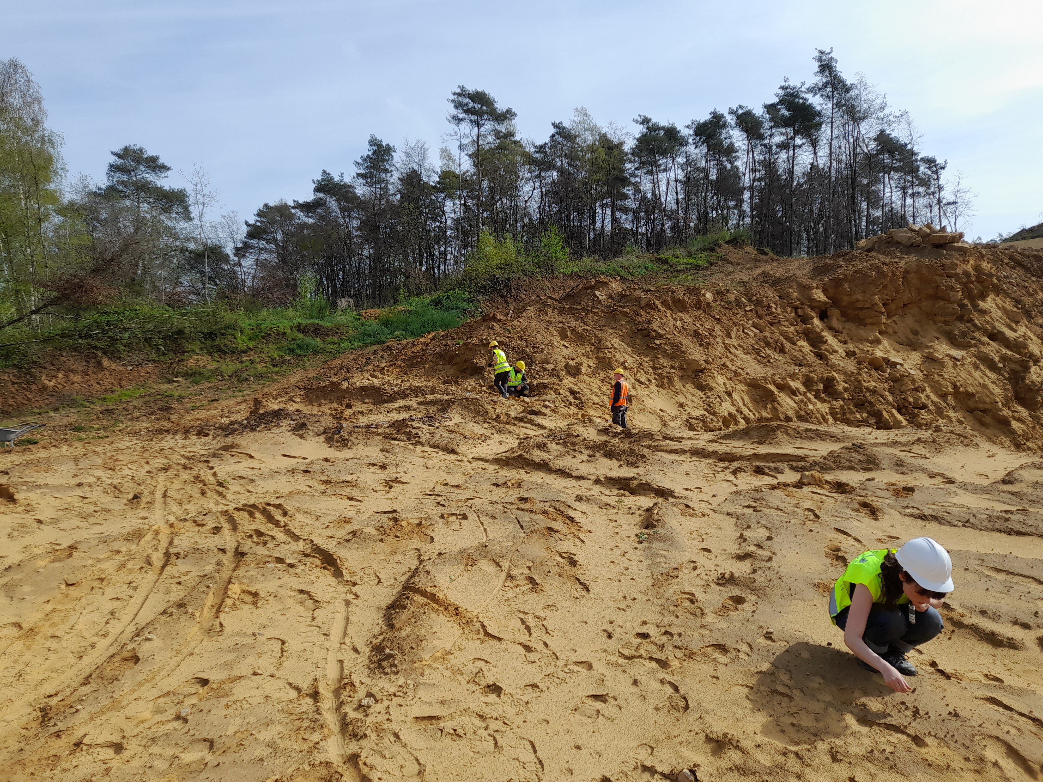 Fossil hunting weekend to the Jurassic of Luxembourg (BE & LUX ...